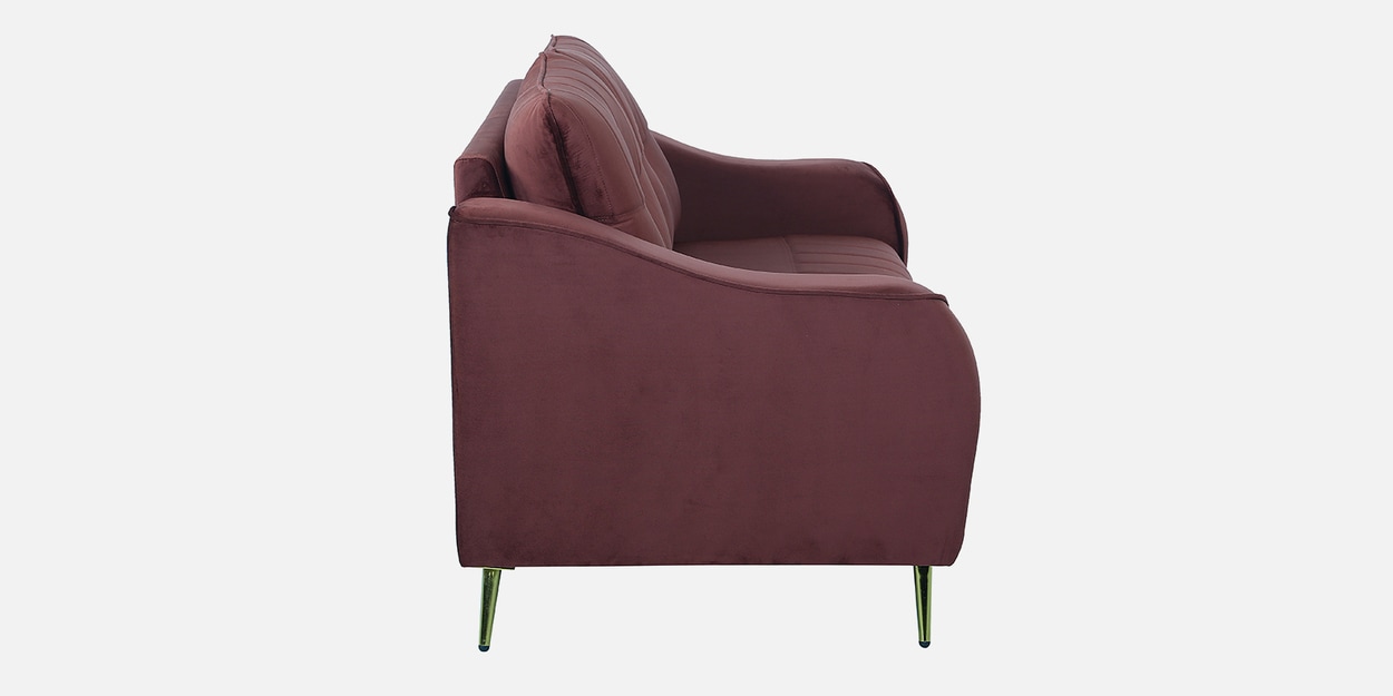 Buy Leona Velvet 2 Seater Sofa in Wine Red Colour by Vittoria Online ...