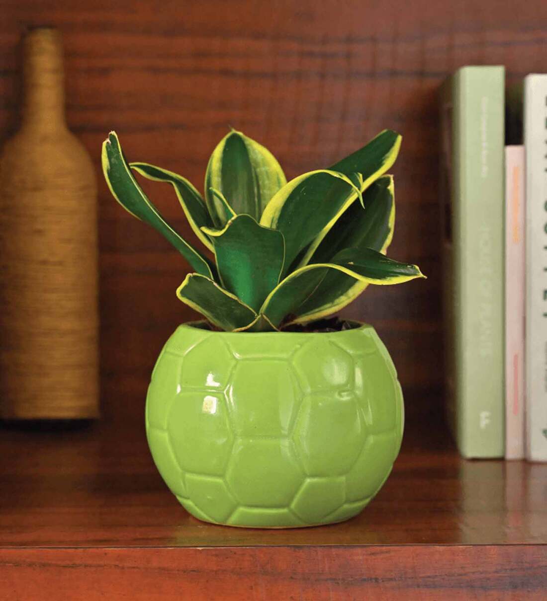 Buy Light Green Ceramic Football Shape Desk Pot Planter at 42% OFF by ...