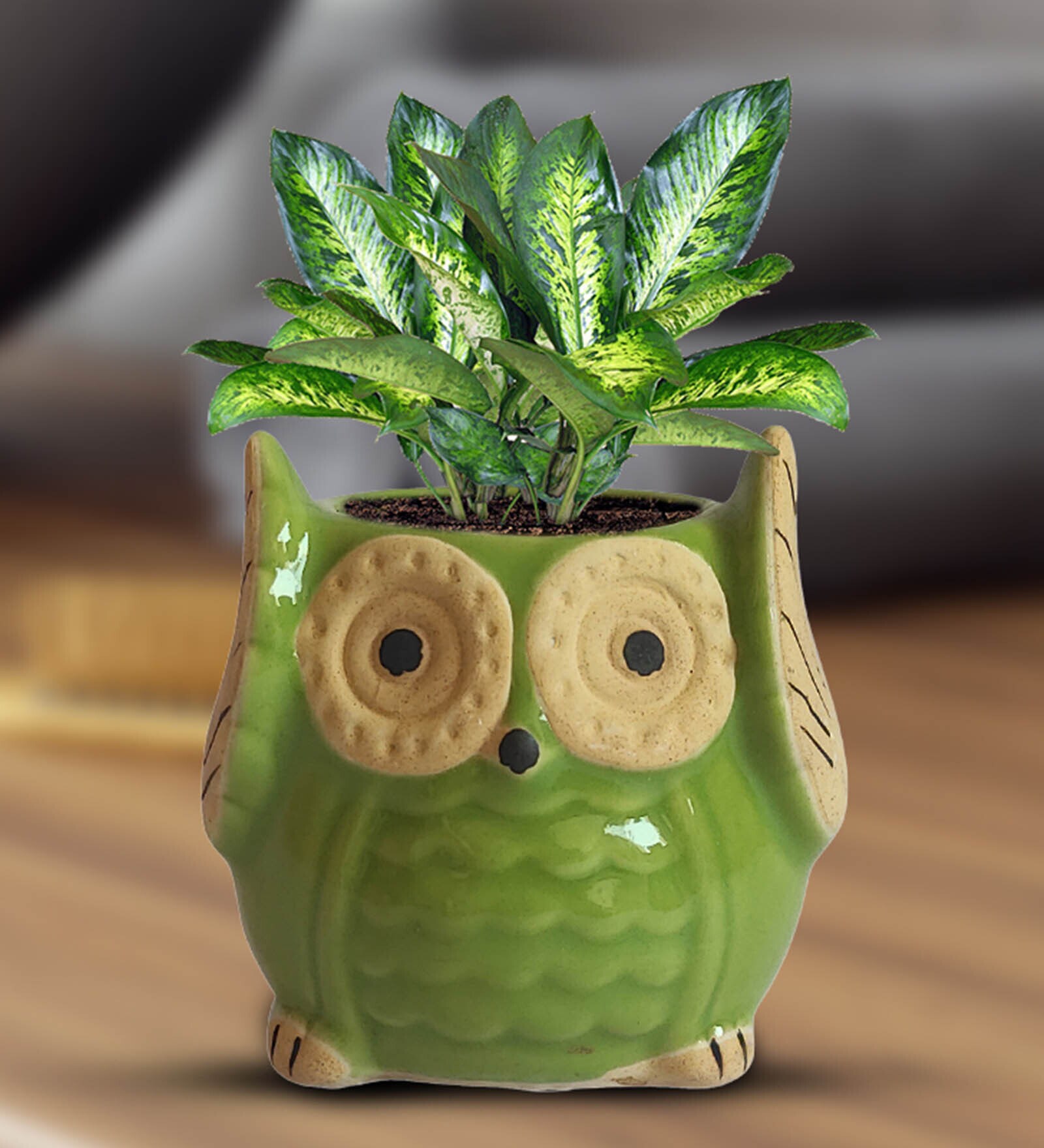 Buy Light Green Ceramic Owl Shape Small Desk Pot by Justoriginals at 17 ...