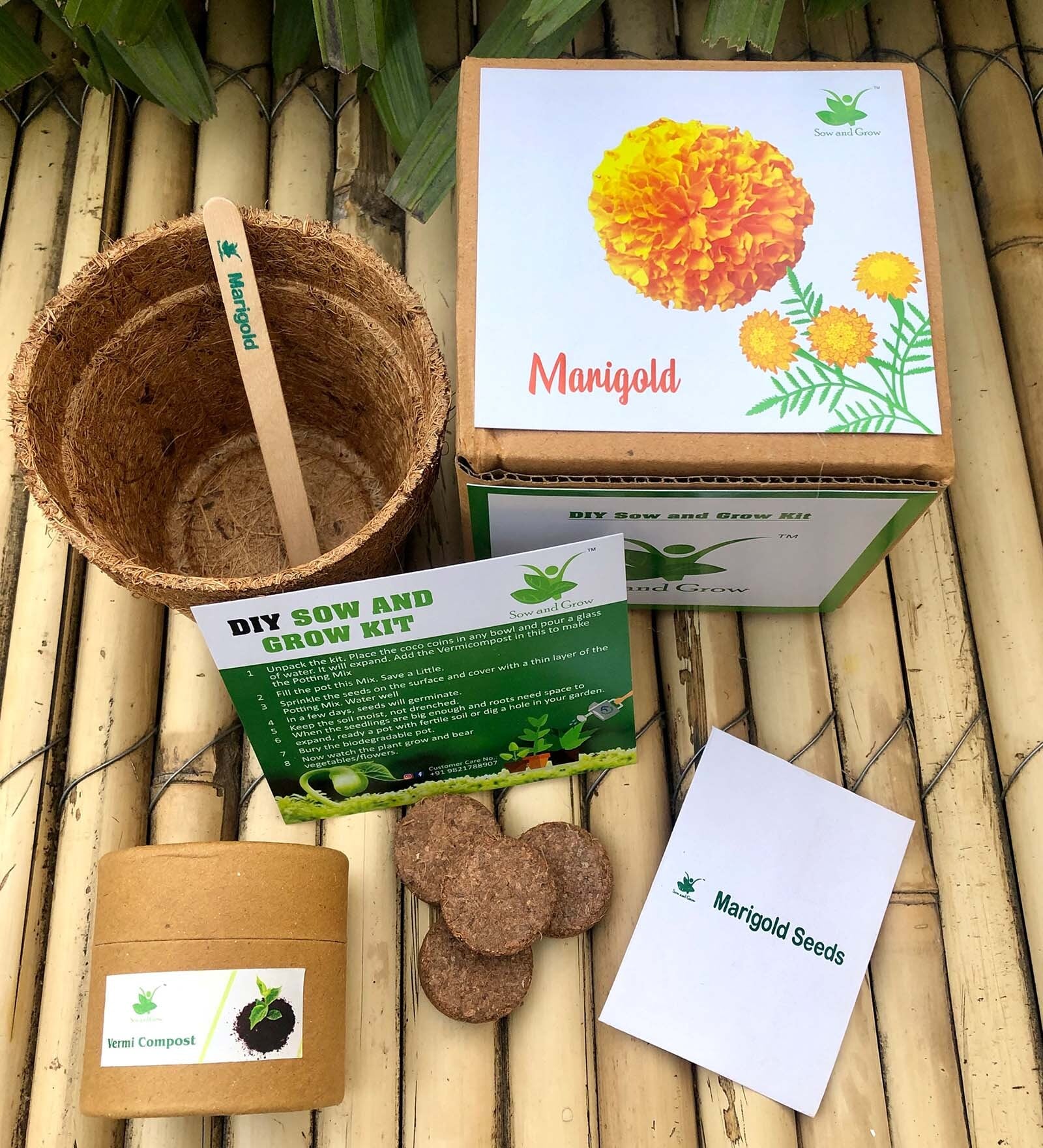 Buy Marigold (Genda) Flower seed Gardening Kit by Sow and Grow at 25% ...