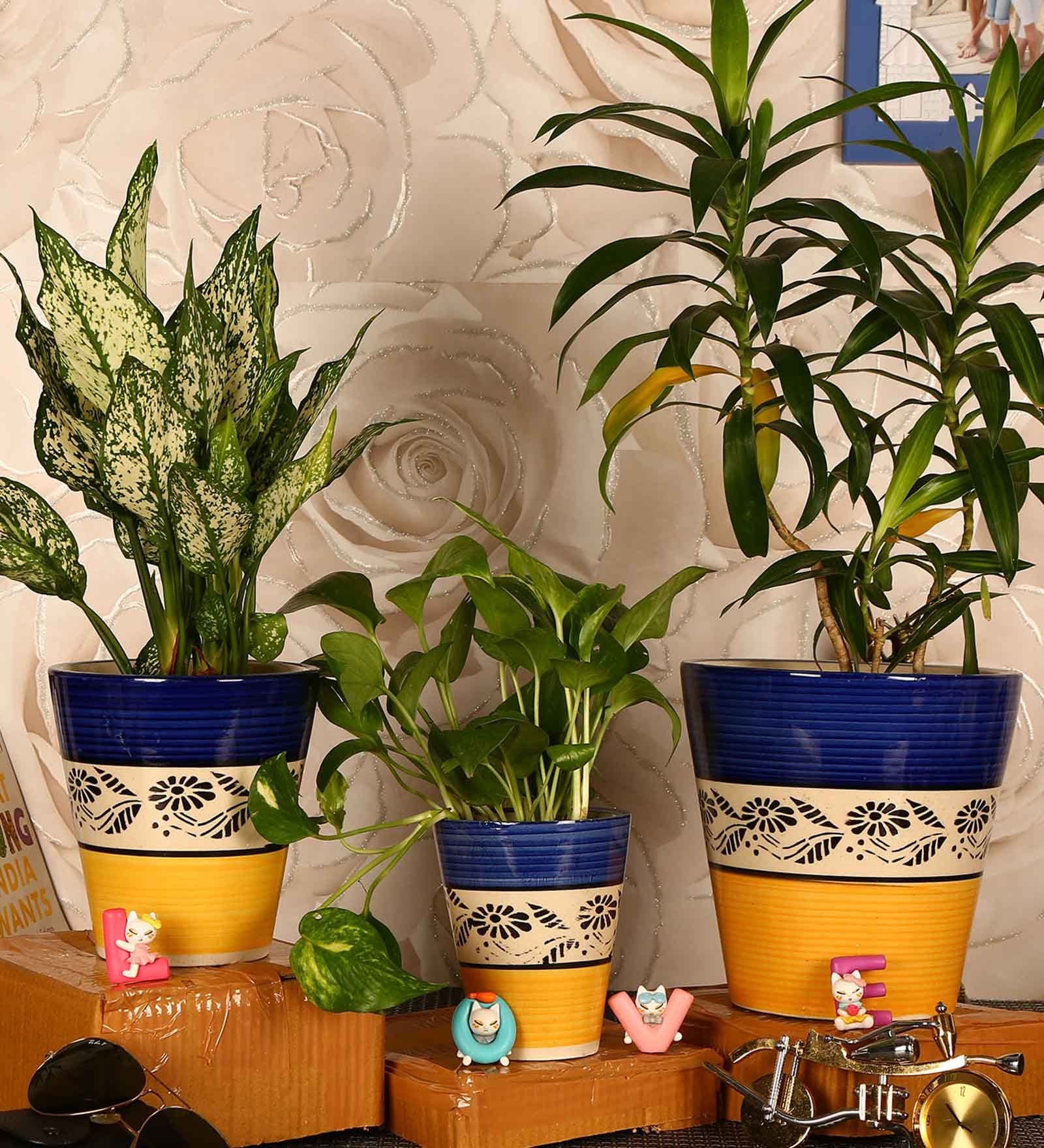 Buy Multicolor Ceramic Balti Shape Flower Pot With Flower Leaf Print ...