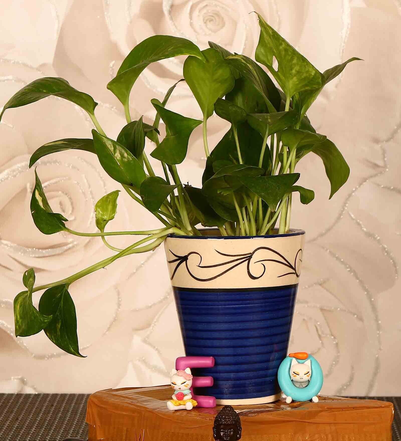 Buy Multicolor Ceramic Small Balti Shape Planter With With Hook Lines ...