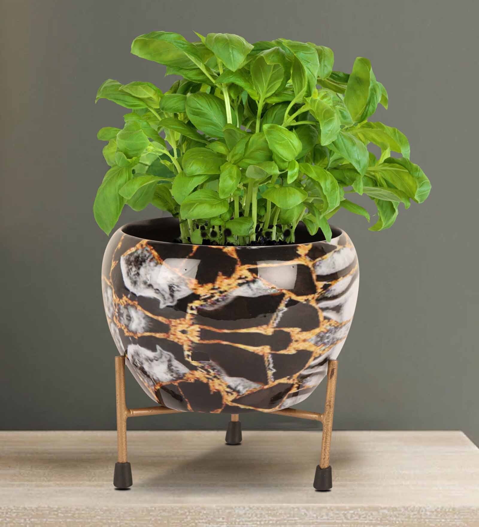 Buy Multicolour Iron Apple Shape Desk Pot With Stand at 28% OFF by ...