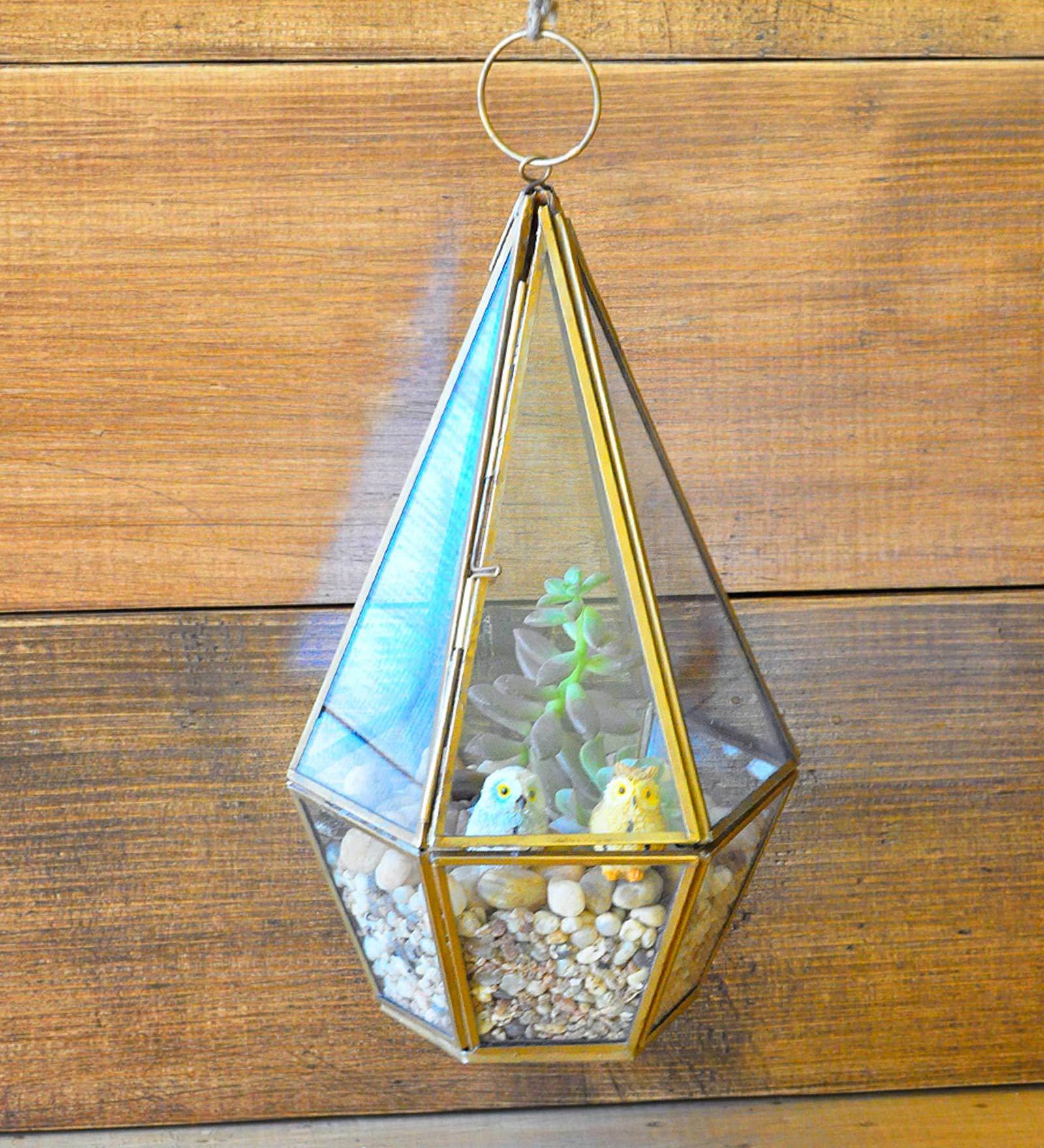 Buy Multicolour Desert Crawler Terrarium Kit By myBageecha by ...