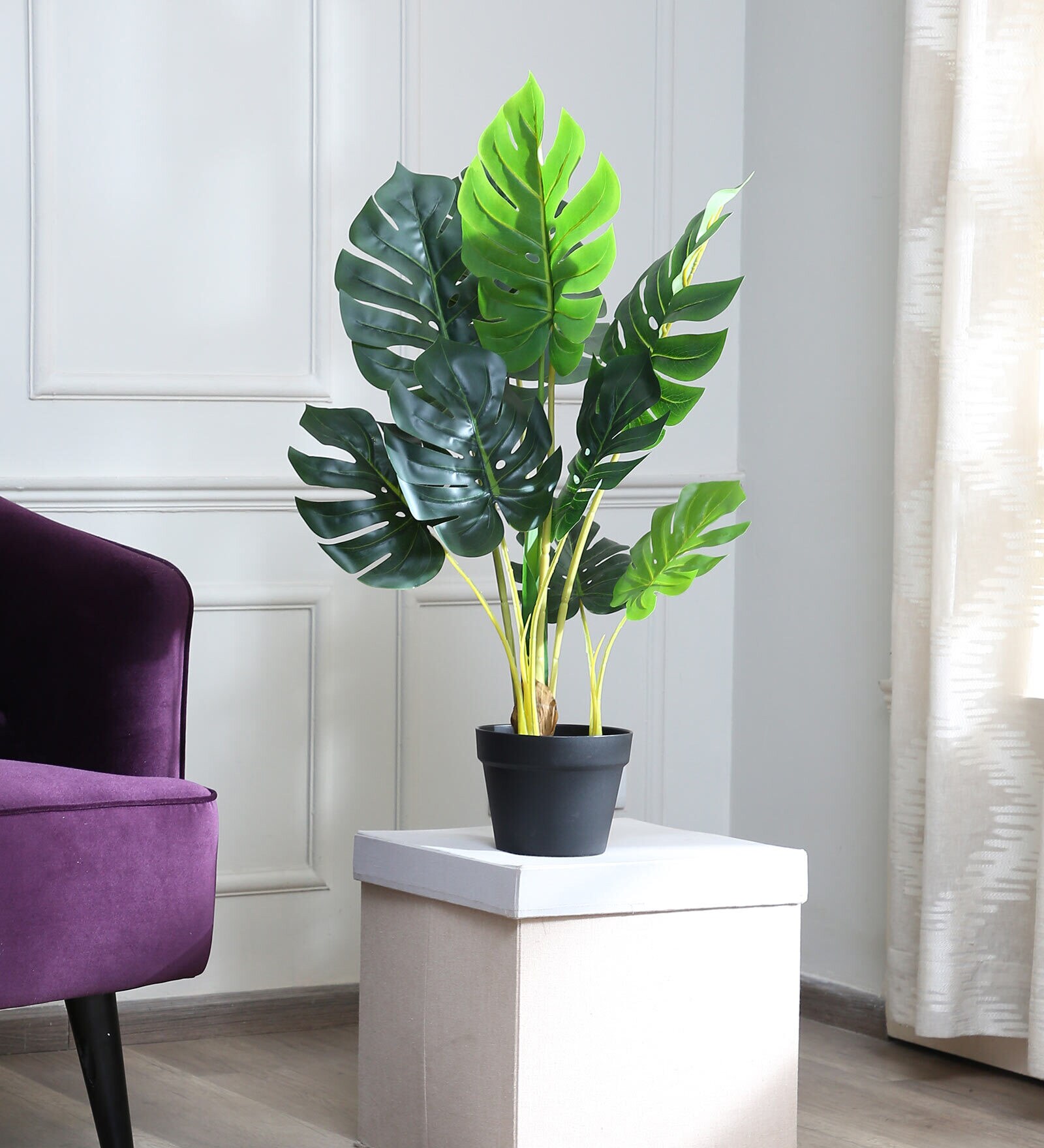 Buy Plastic Multicolour Real Touch Monstera Artificial Plants at 24% ...