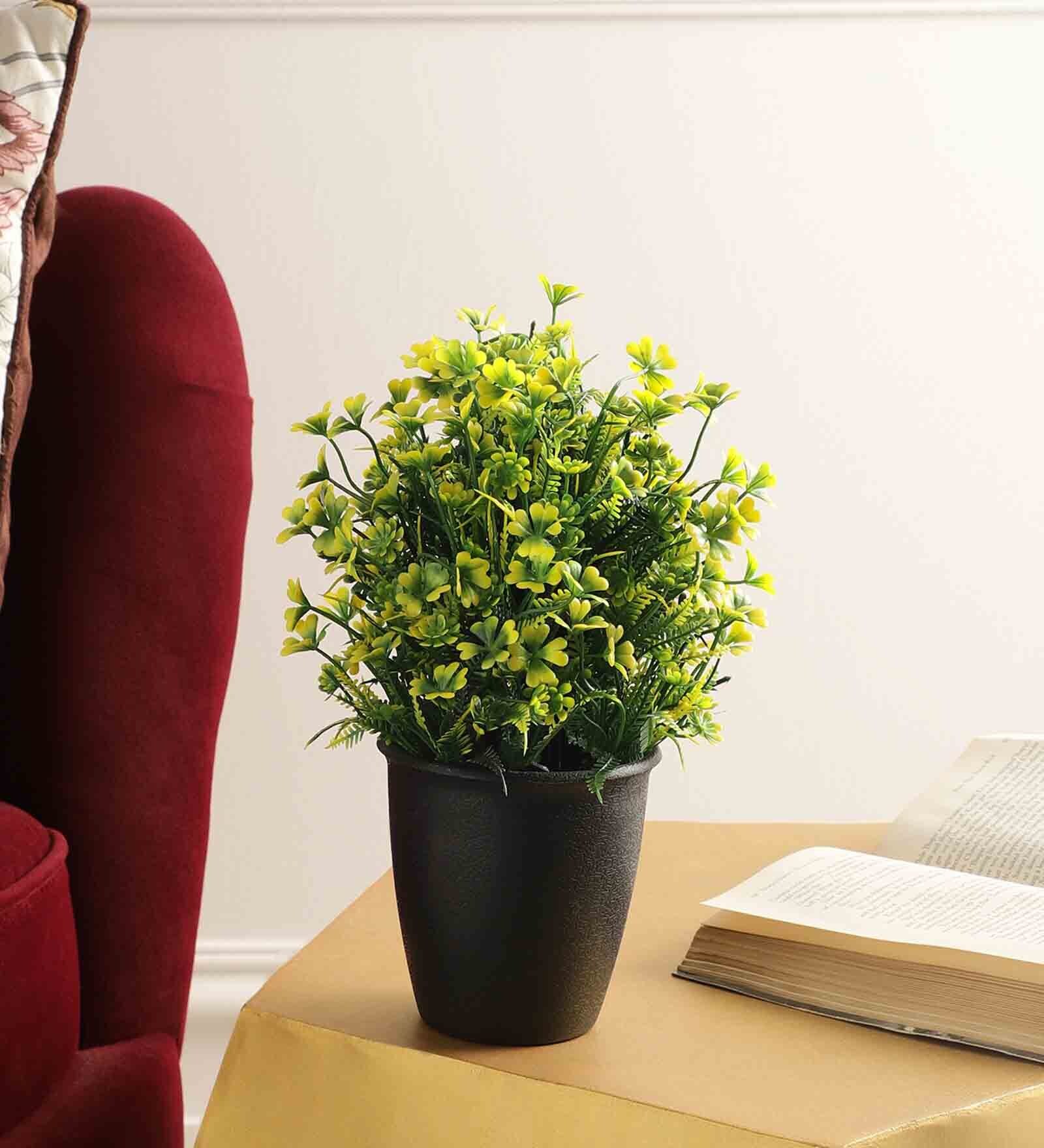 Buy Multicolour Polyester and Plastic Artificial Plants By Foliyaj at ...