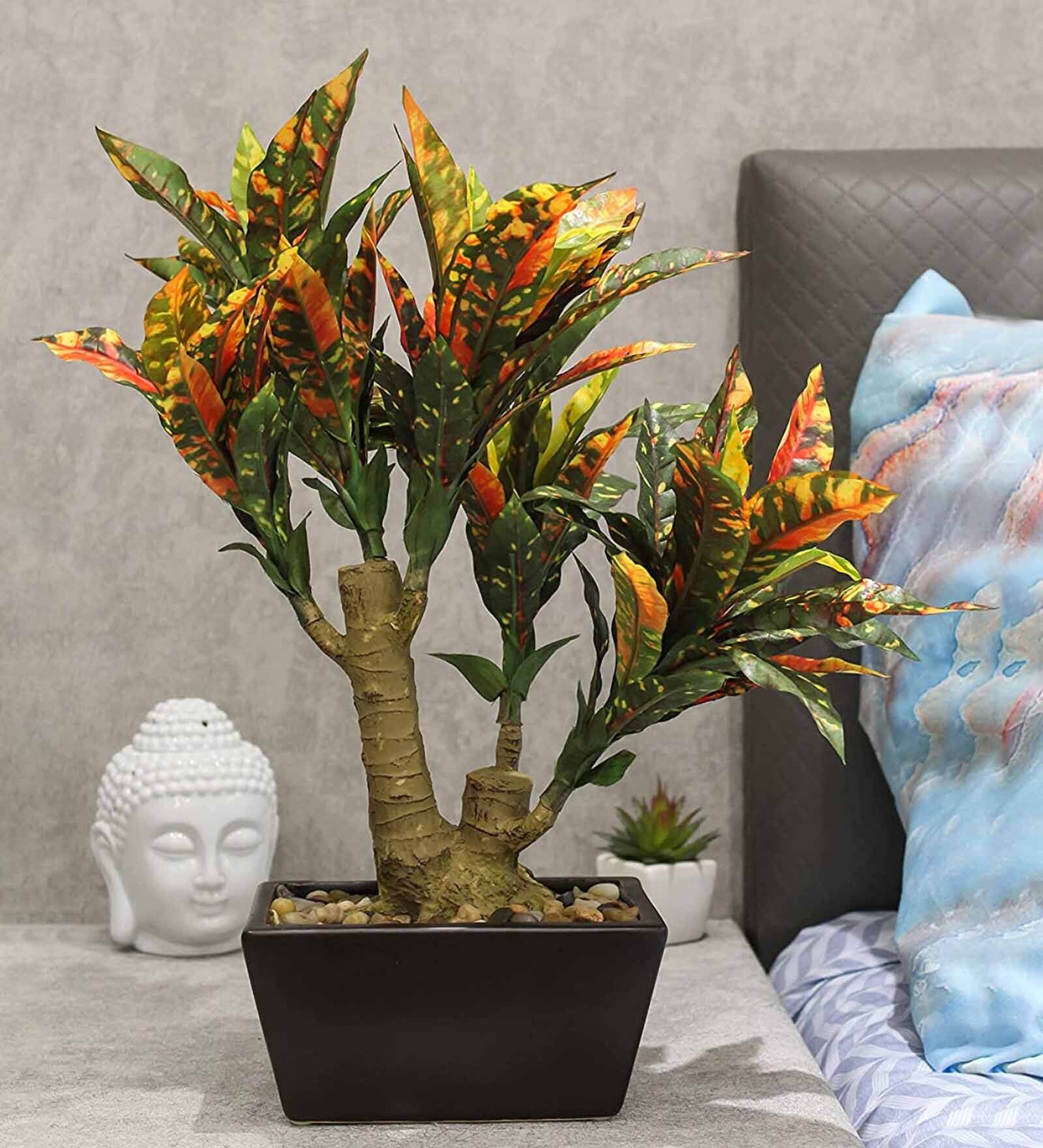 Buy Multicolour PVC Artificial Croton Plant With Black Ceramic Pot by ...