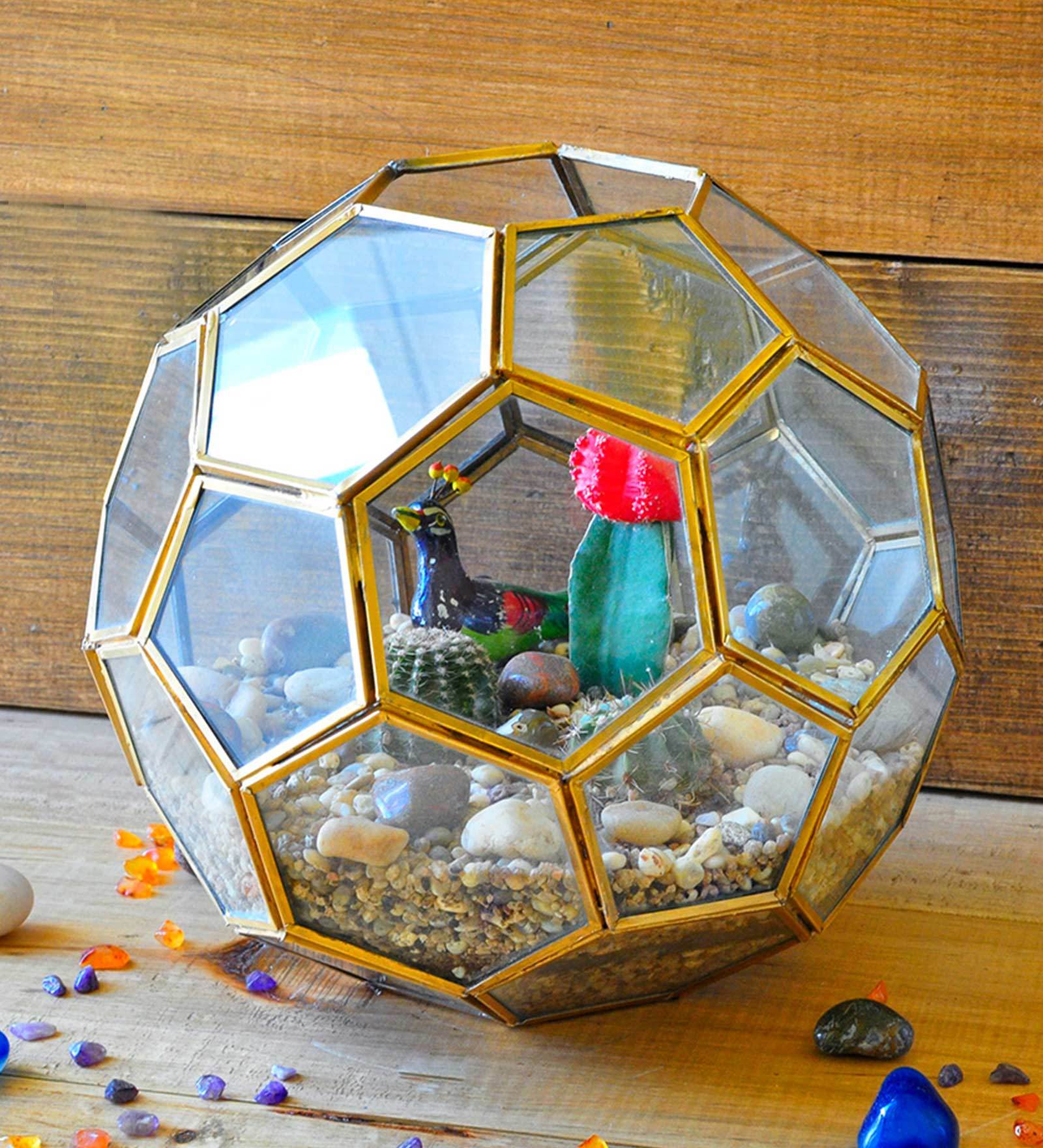 Buy Multicolour Thar Wanderlust Terrarium Kit By myBageecha by ...