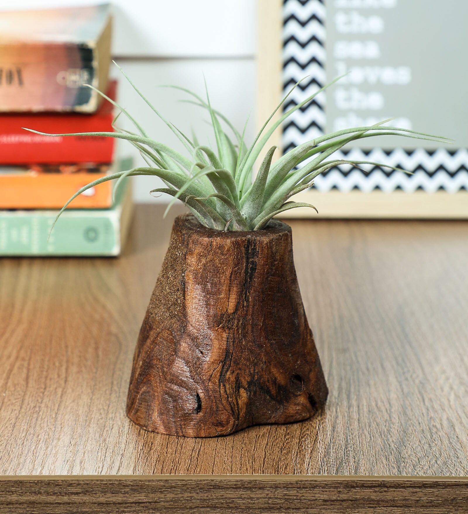 Buy Natural Wood Tree Of Life By Livetrends at 100% OFF by Livetrends ...