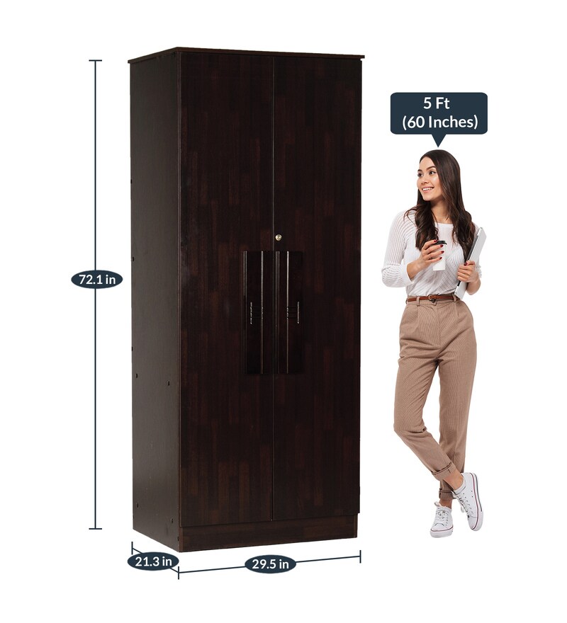 Buy Nesoi 2 Door Wardrobe in Wenge Colour by DF2H Online - Contemporary ...