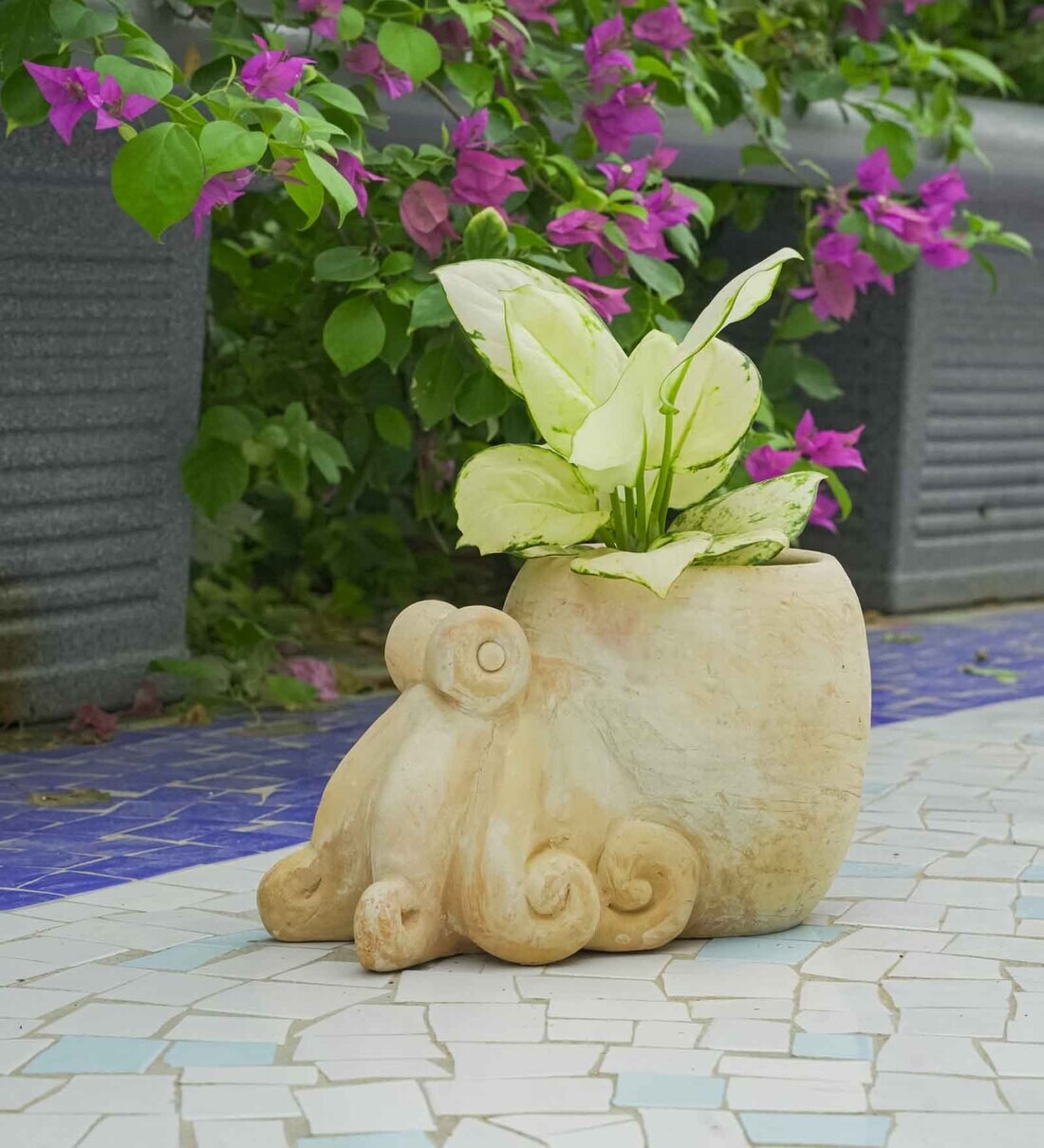 Buy Beige Oceanic Octopus Clay Floor Planter at 100% OFF by Swadeh ...