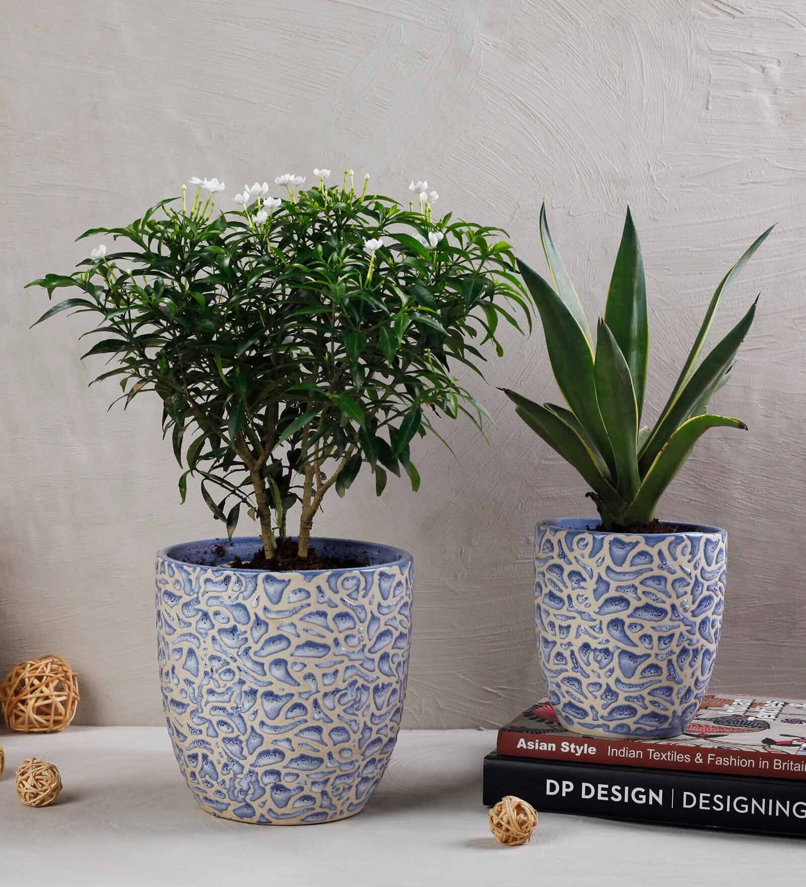 Buy Ocean Blue Ceramic Desk Pot Set of 2, by The 7th Dekor at 30% OFF ...