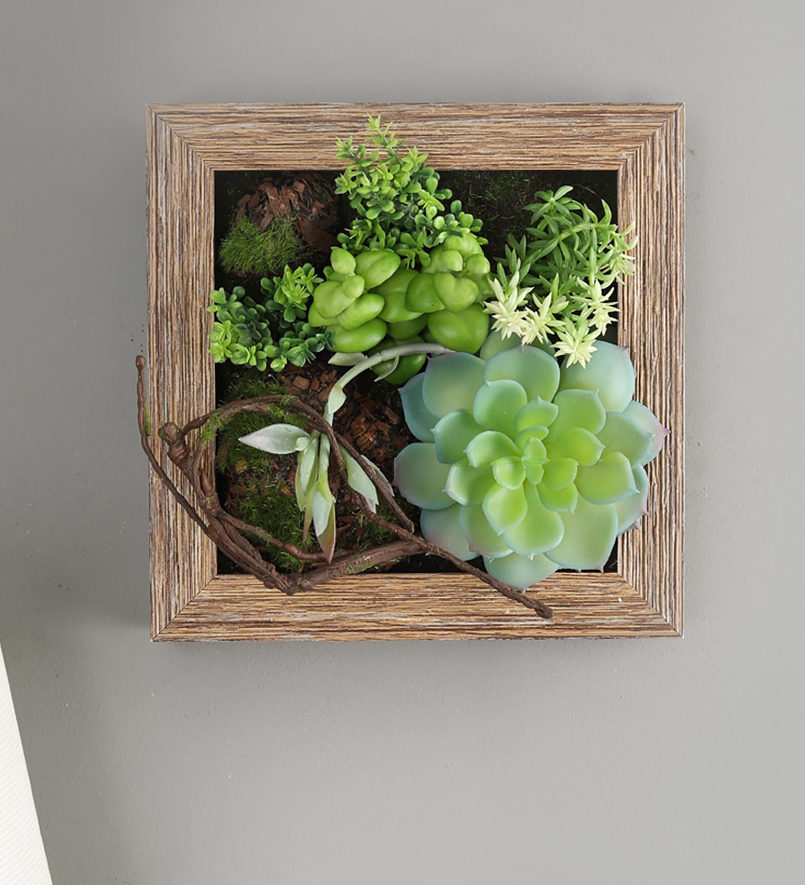 Buy Floral Green Succulent Wall Planter by Oddcroft at 34% OFF by ...