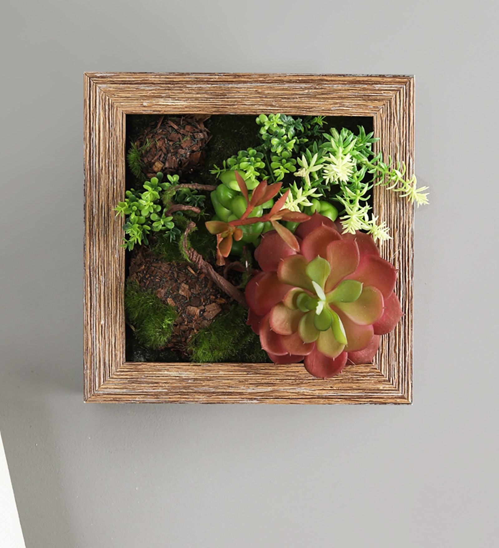 Buy Floral Red Succulent Wall Planter by Oddcroft at 34% OFF by ...
