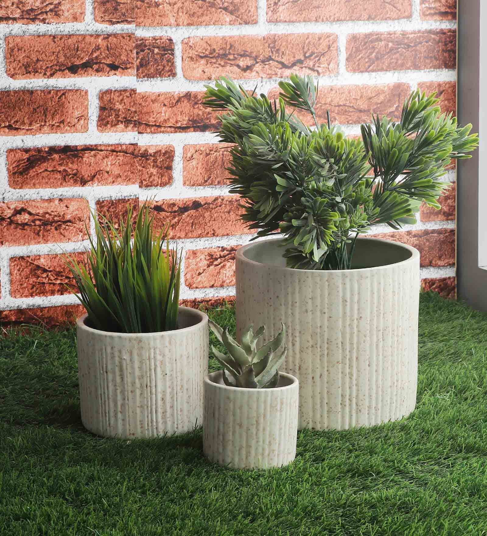 Buy Off-White Ceramic Texture Handcrafted Well Planter, Set of 3 by The ...