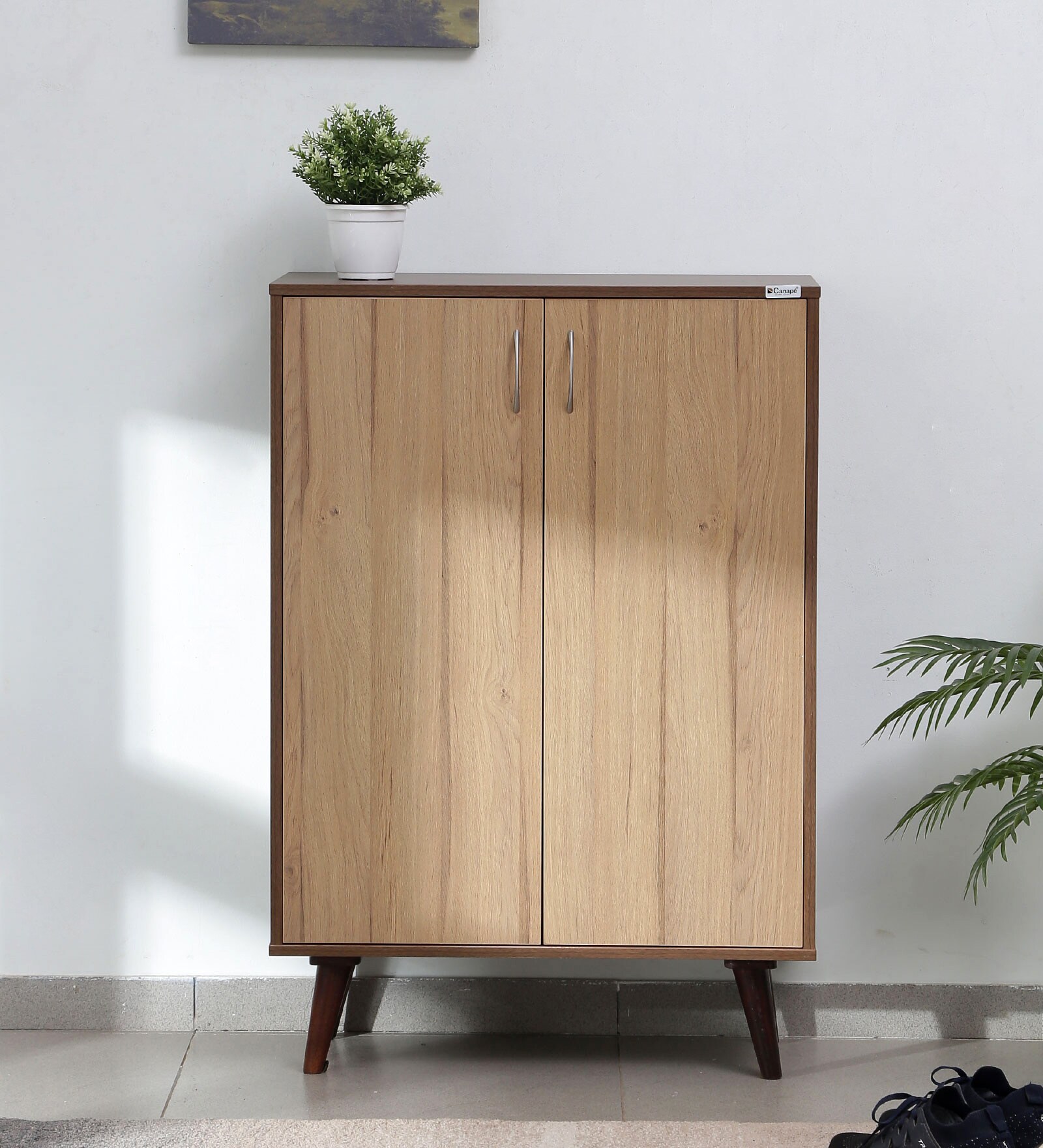 Buy Omni Shoe Cabinet in Columbian Walnut & Brentwood Teak Finish at 50 ...