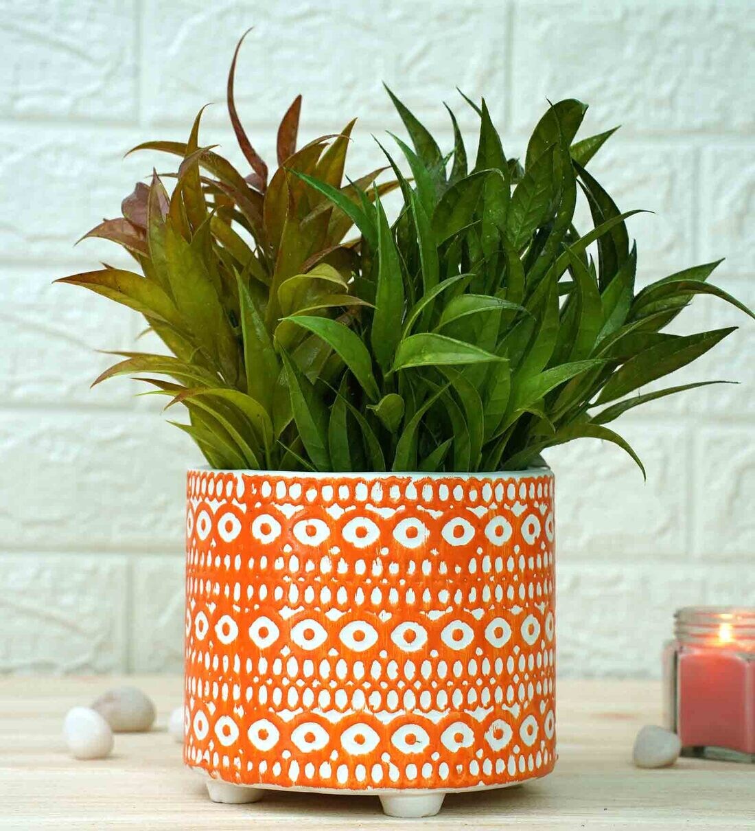 Buy Orange Ceramic Moroccon Desk Pot By Gold Dust at 13% OFF by Gold ...
