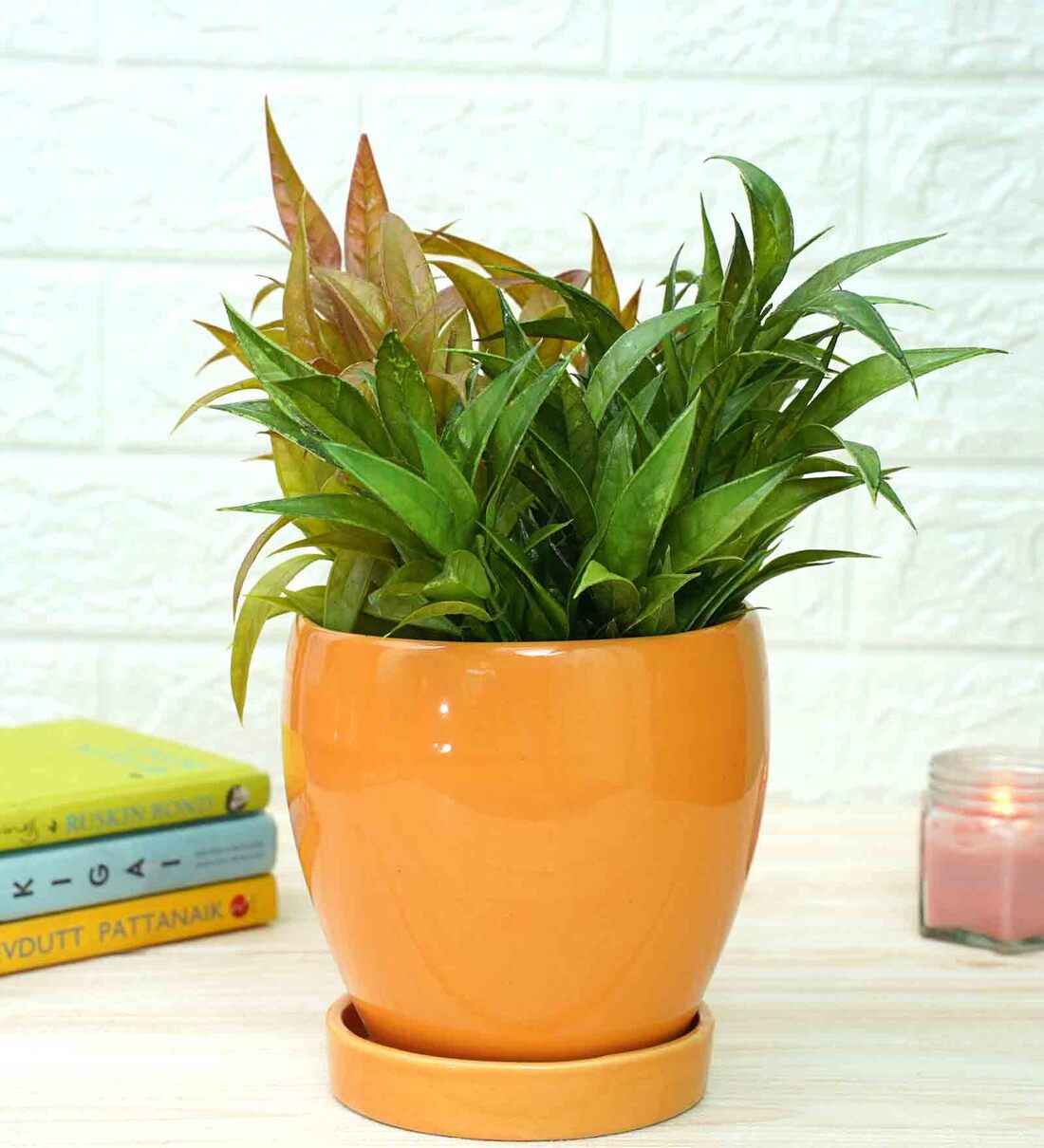 Buy Orange Ceramic Fountain Planter By Gold Dust at 24% OFF by Gold ...