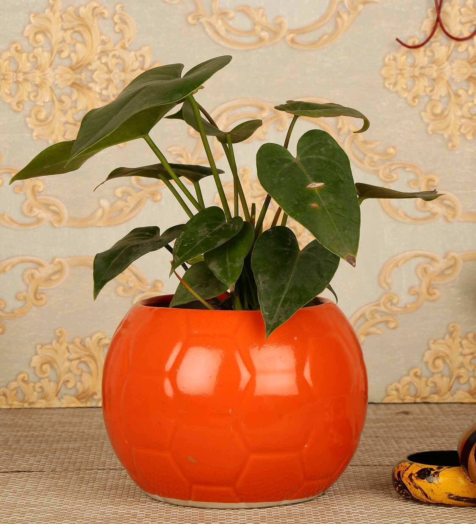 Buy Orange Ceramic Football Shape Desk Pot by Justoriginals at 6% OFF ...