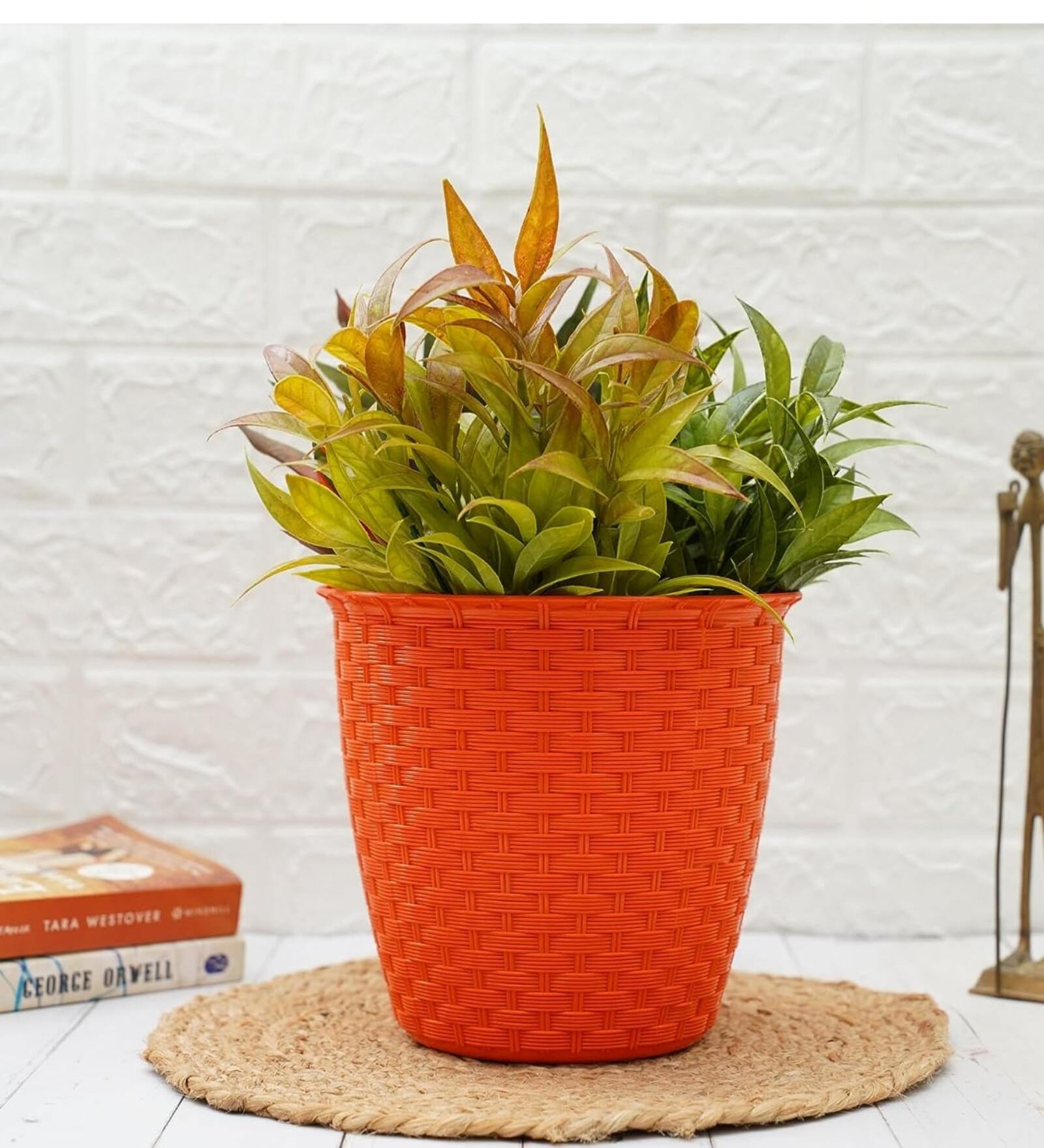 Buy Orange Plastic Desk Pot at 29% OFF by Gold Dust | Pepperfry