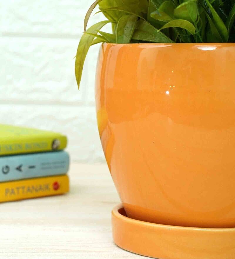 Buy Orange Ceramic Floor Planter By Gold Dust Online - Floor Planters ...