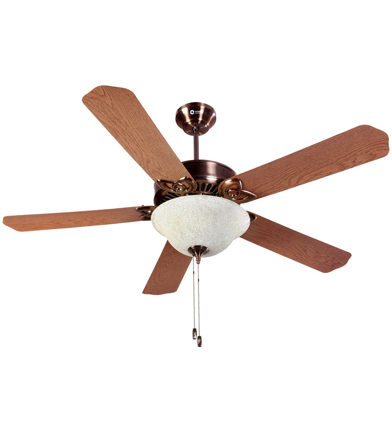 Buy Orient Subaris Solo Antique Copper & Oakwood 1300mm Designer ...