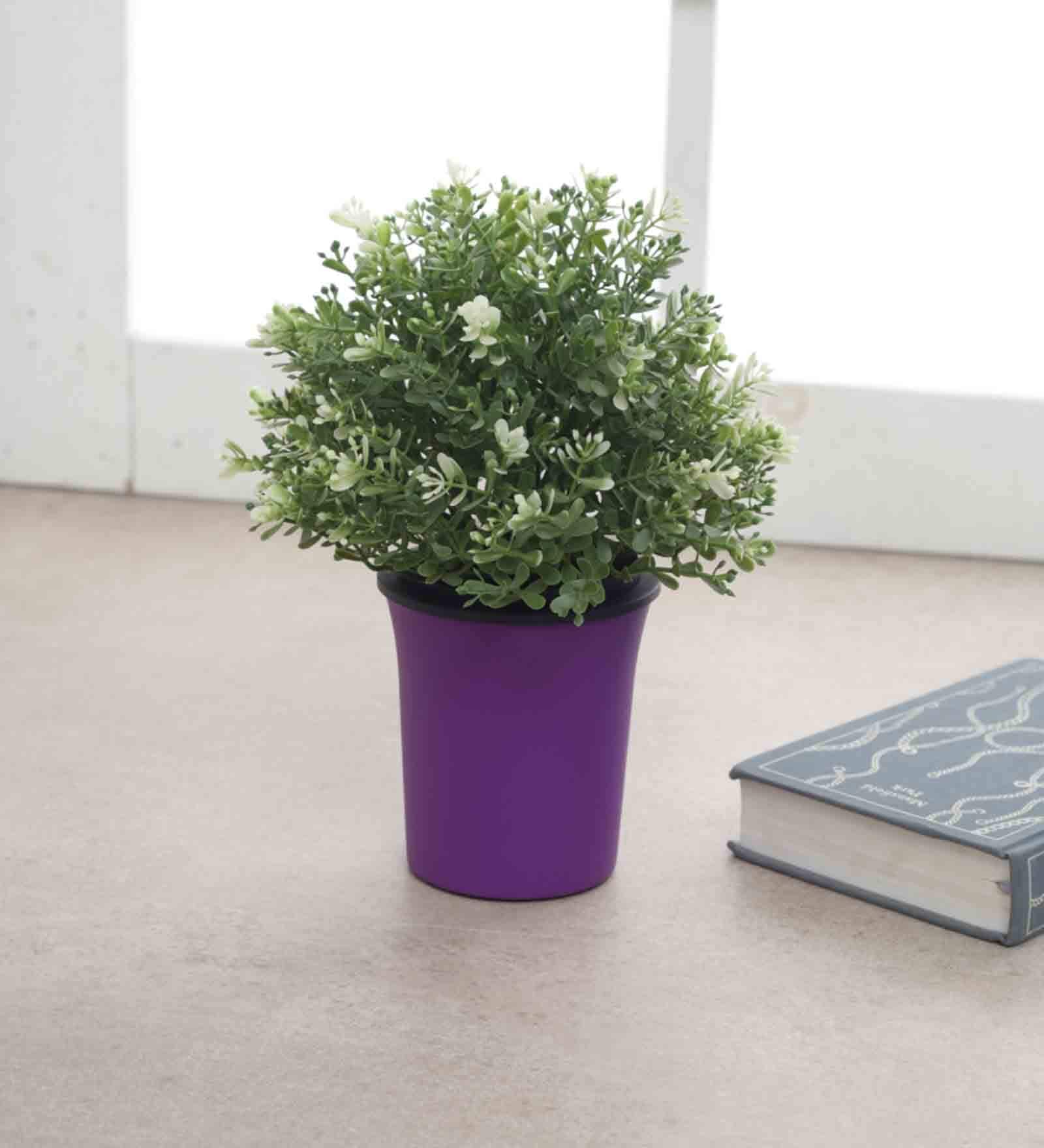 Buy Plastic Purple Desk Pot at 50% OFF by Planters | Pepperfry