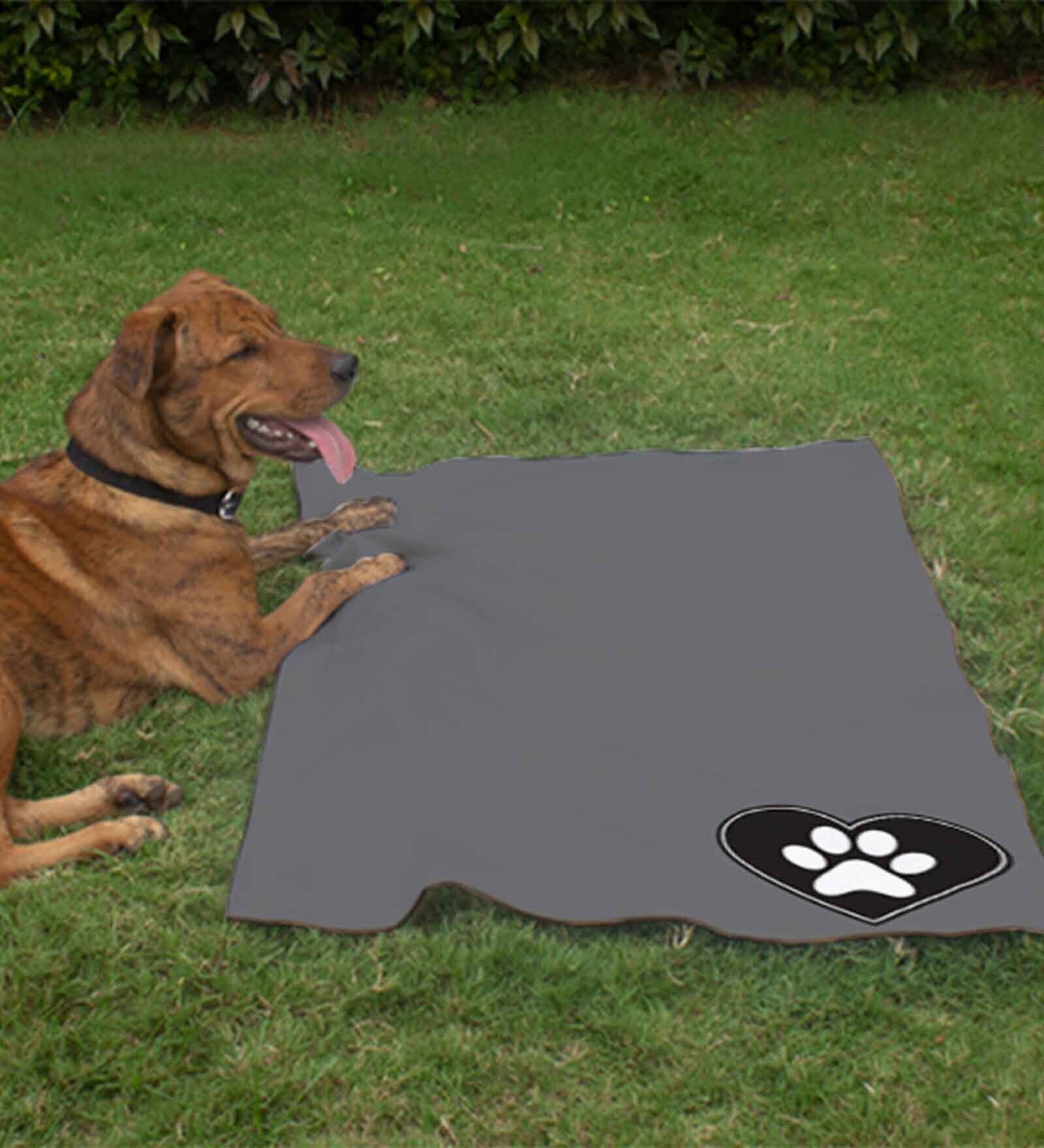 Buy Paw- Small Green Fabric Dog Blanket at 33% OFF by Right | Pepperfry