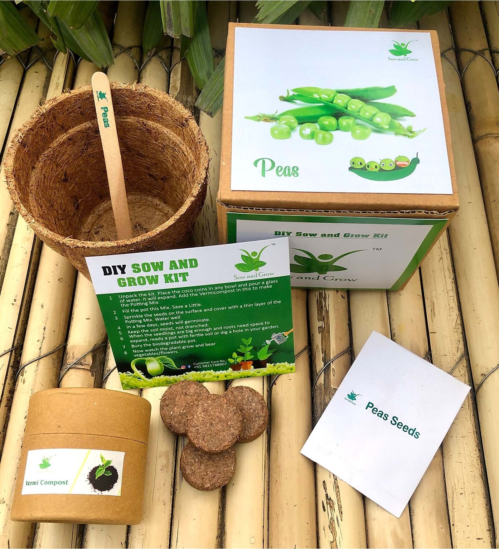 Buy Peas (Matar) Vegetable seed Gardening Kit by Sow and Grow at 20% ...