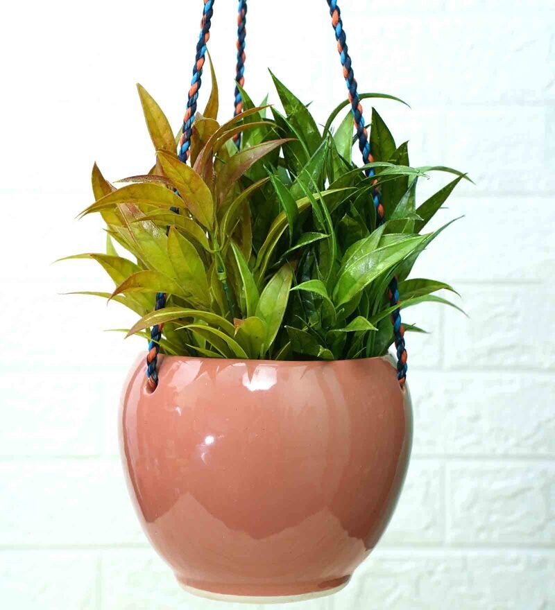 Buy Peach Ceramic Hanging Planter By Gold Dust Online - Floor Planters ...