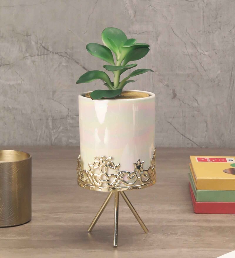 Buy Pearl White Ceramic Planter With Stand By Oddcroft Online - Desk ...