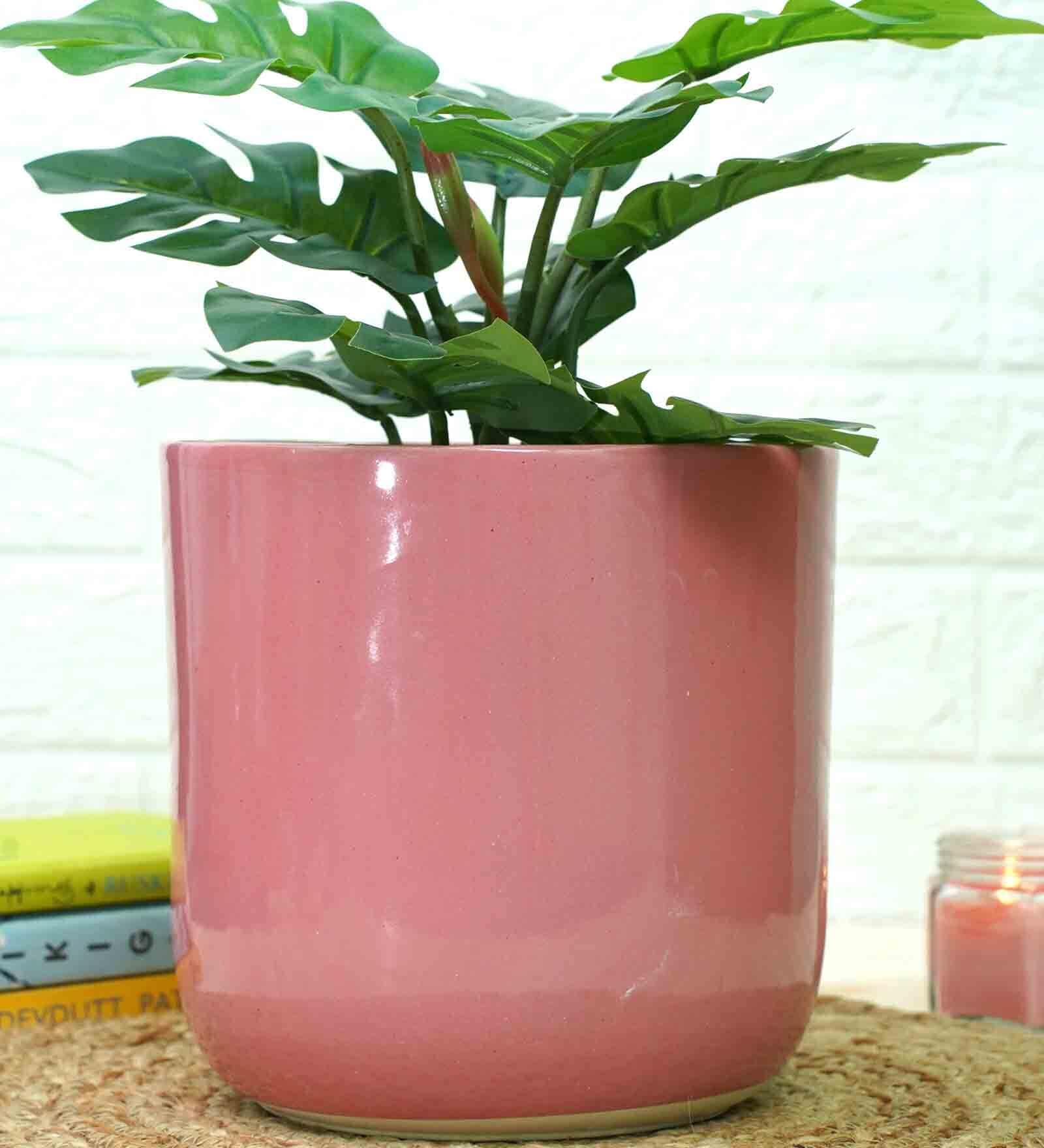 Buy Pink Ceramic Big Planter at 25% OFF by Gold Dust | Pepperfry