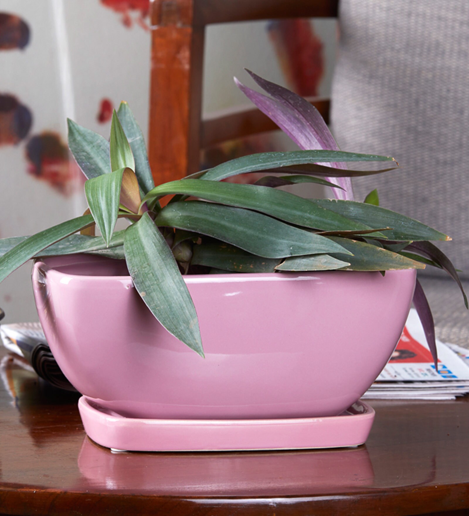 Buy Pink Ceramic Medium Size Pot by Gaia at 29% OFF by Gaia | Pepperfry
