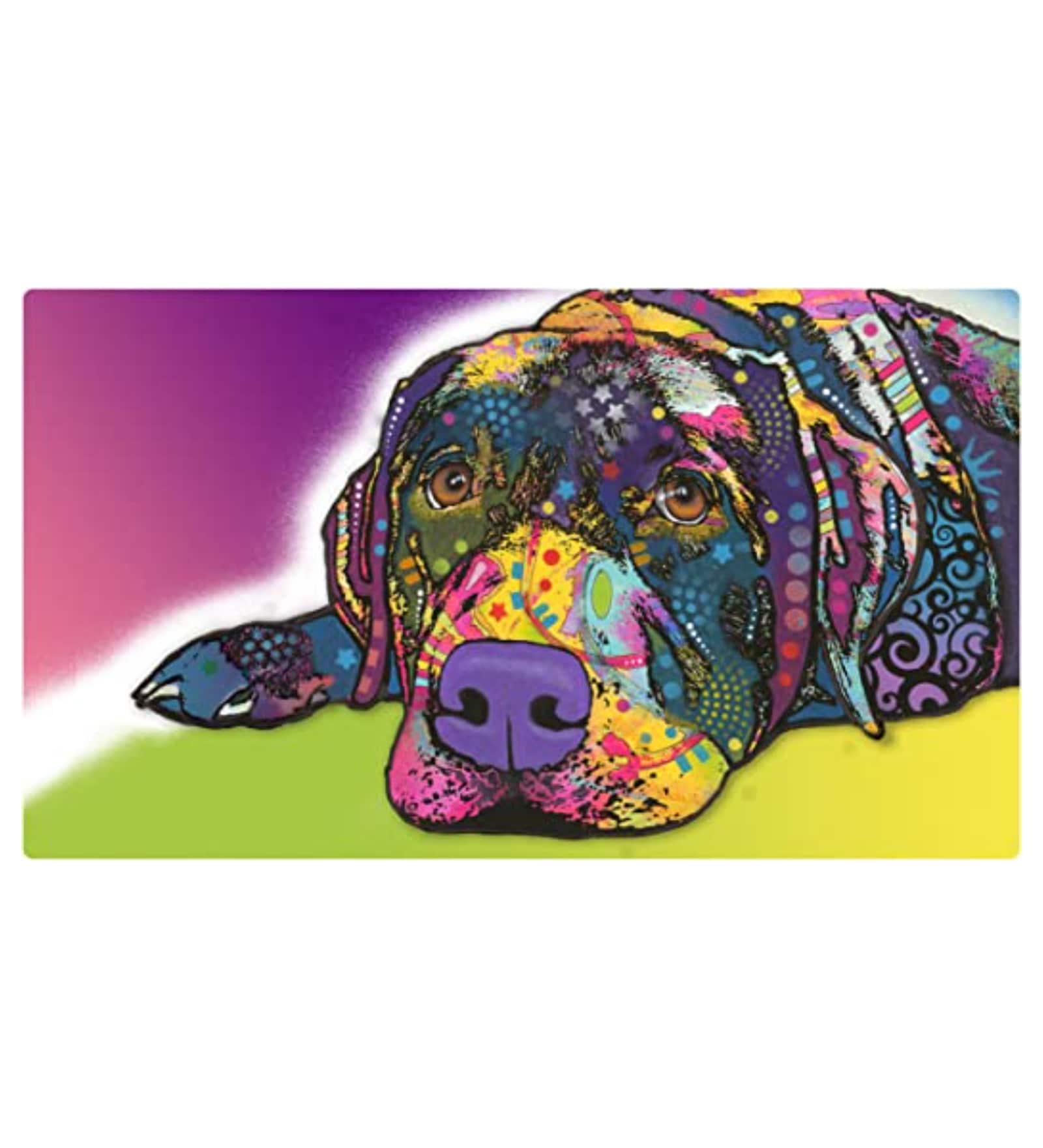Buy Savvy Labrador Multicolour Fabric Pet Placemat at 20% OFF by ...