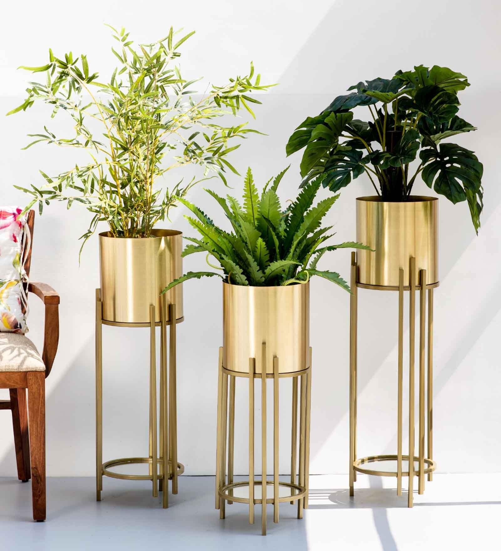 Buy Planters-Mellow Gold Set Of 3 at 14% OFF by The Decor Remedy ...