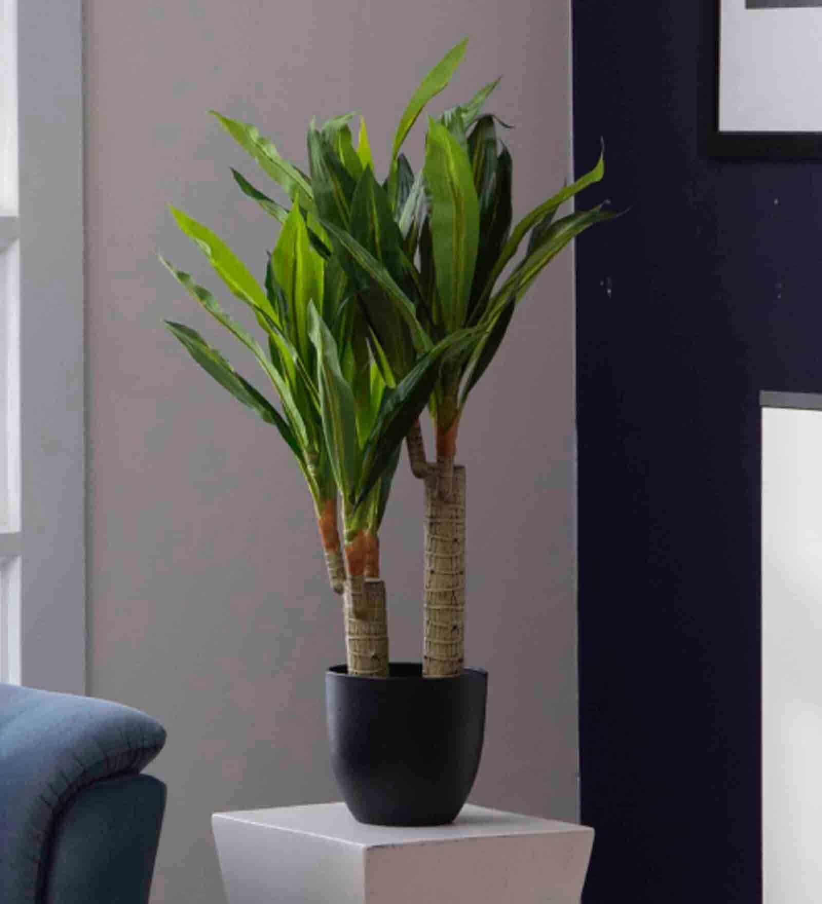 Buy Dracaena Polyester Yellow Artificial Plant with Pot at 28% OFF by ...