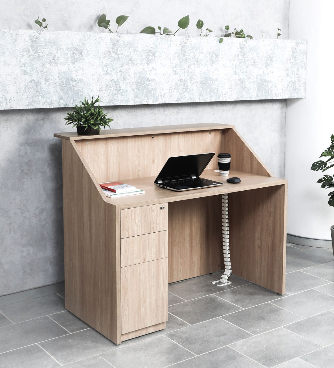 Buy Raptor Reception Desk with Supporting Pedestal in Light Brown ...