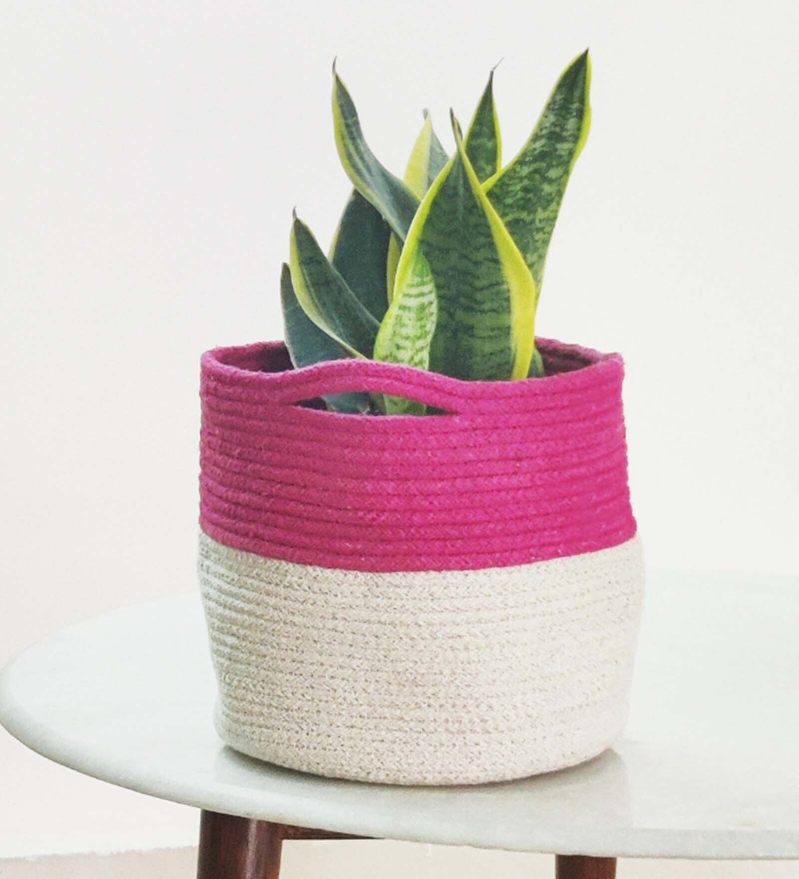 Buy Radiant Pink Cotton Planter at 32% OFF by Jasmey Homes | Pepperfry