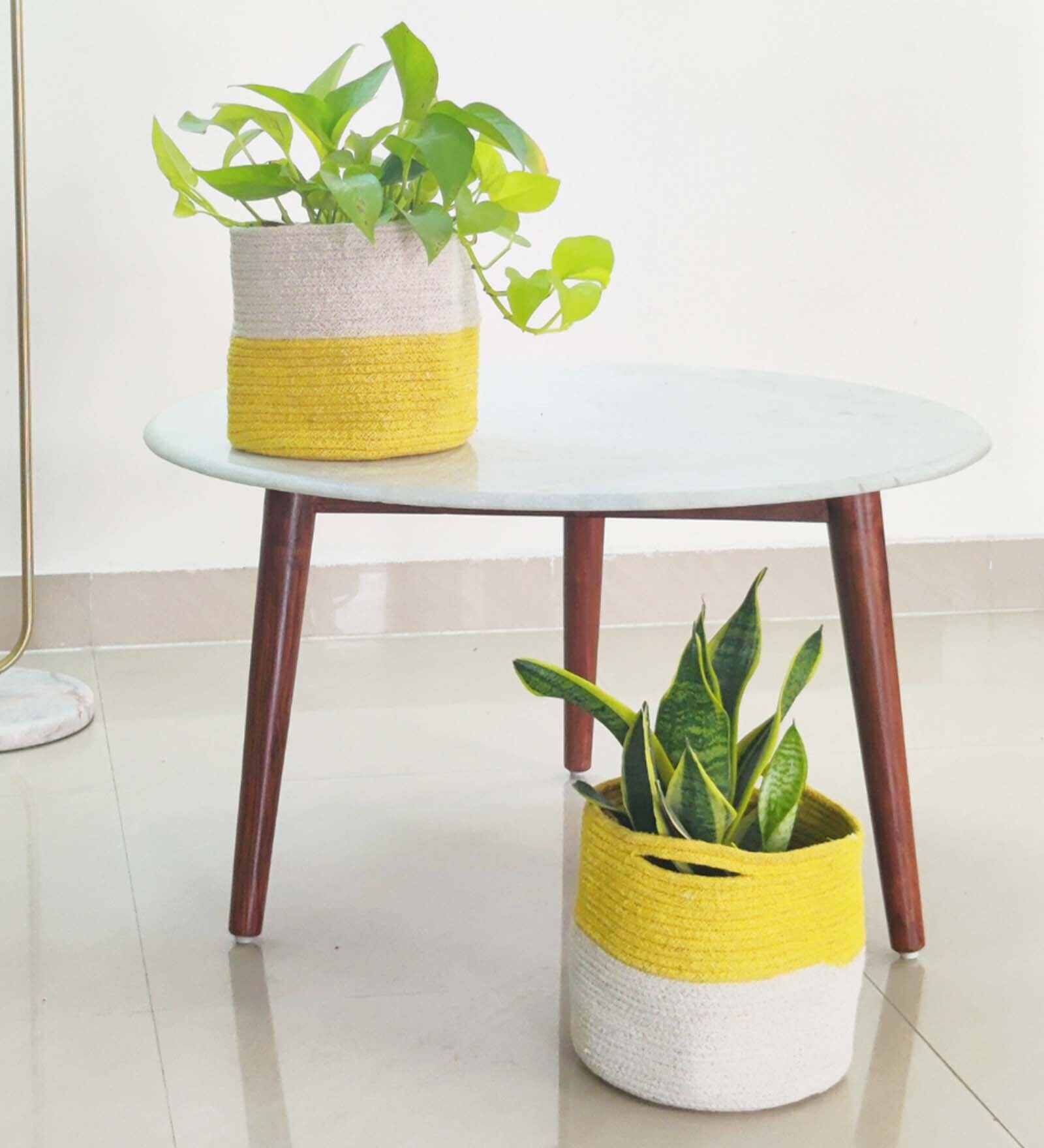 Buy Radiant Yellow Cotton Planter Set Of 2, at 20% OFF by Jasmey Homes ...