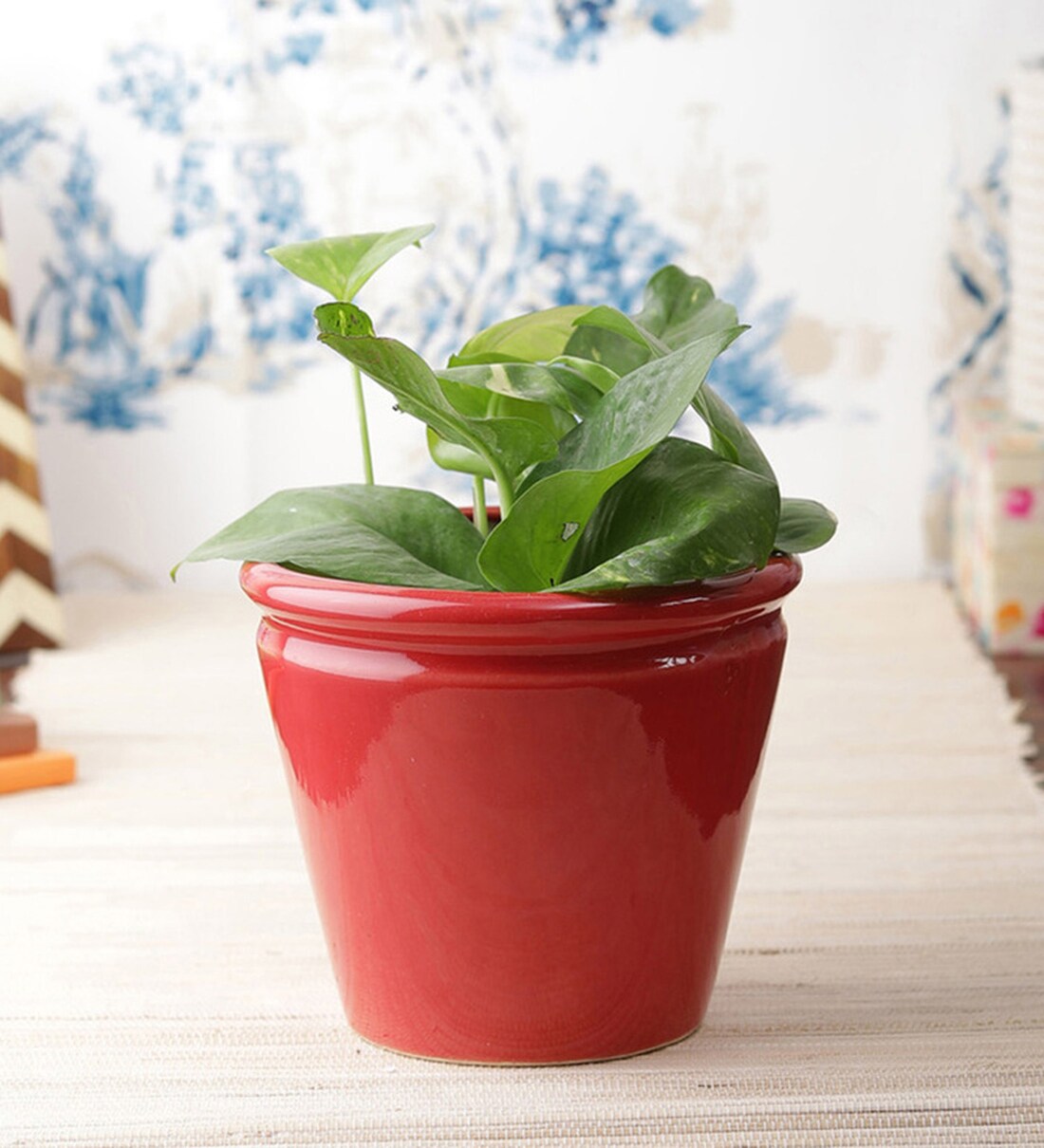 Buy Red Glossy Taper Shaped 5 Inch Ceramic Planter Pots Set of 2 by ...