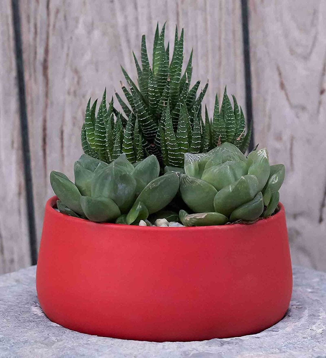 Buy Red Metal Matt Finish Bowl Shaped Planter by Foliyaj at 50% OFF by ...