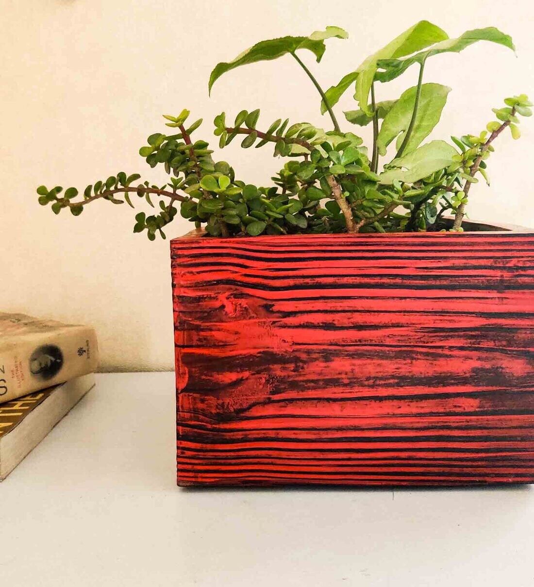 Buy Red Pinewood Square Planter at 40% OFF by Soulspiti | Pepperfry