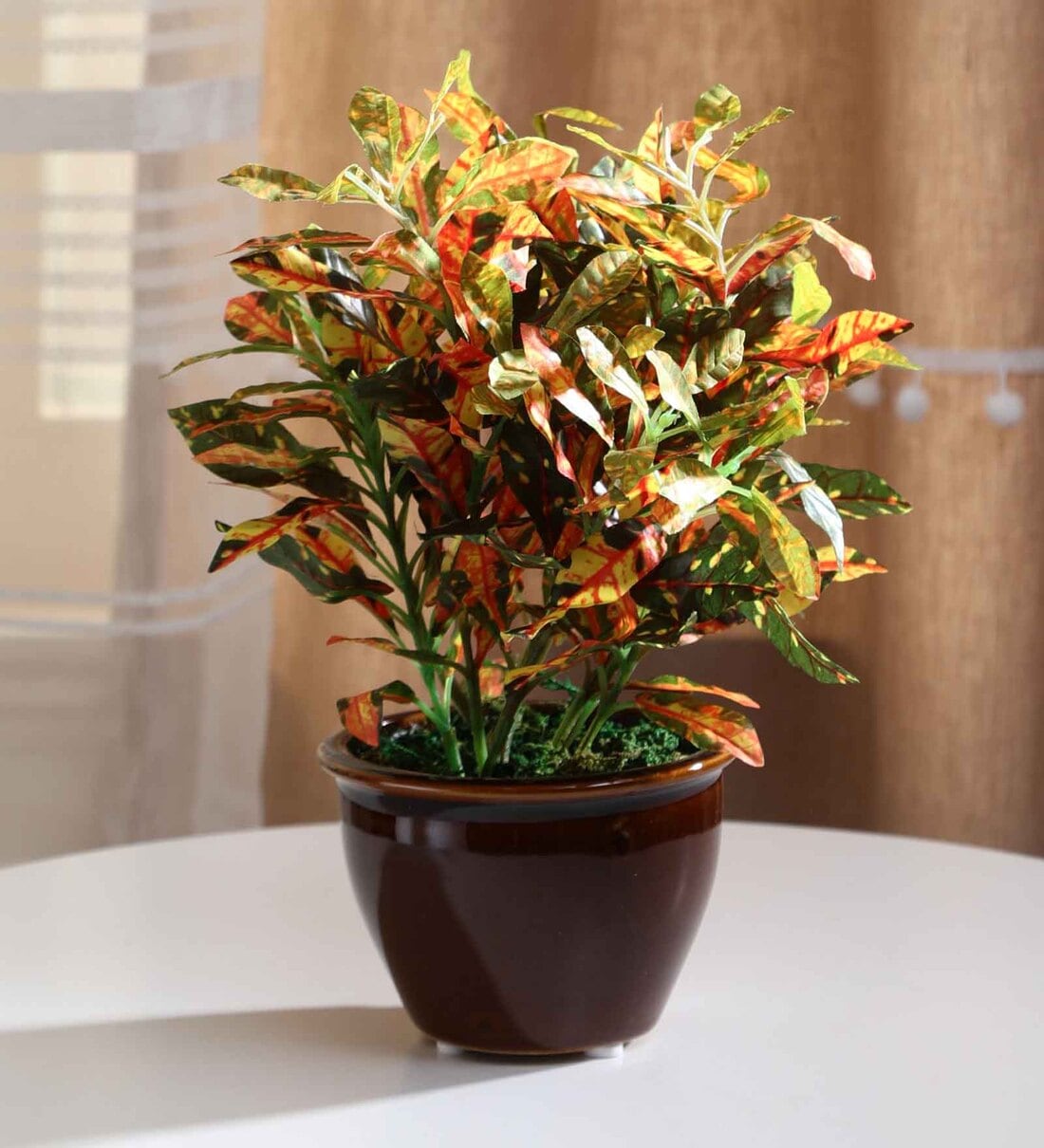 Buy Red Plastic Artificial Croton Bonsai Plant With Ceramic Pot by ...