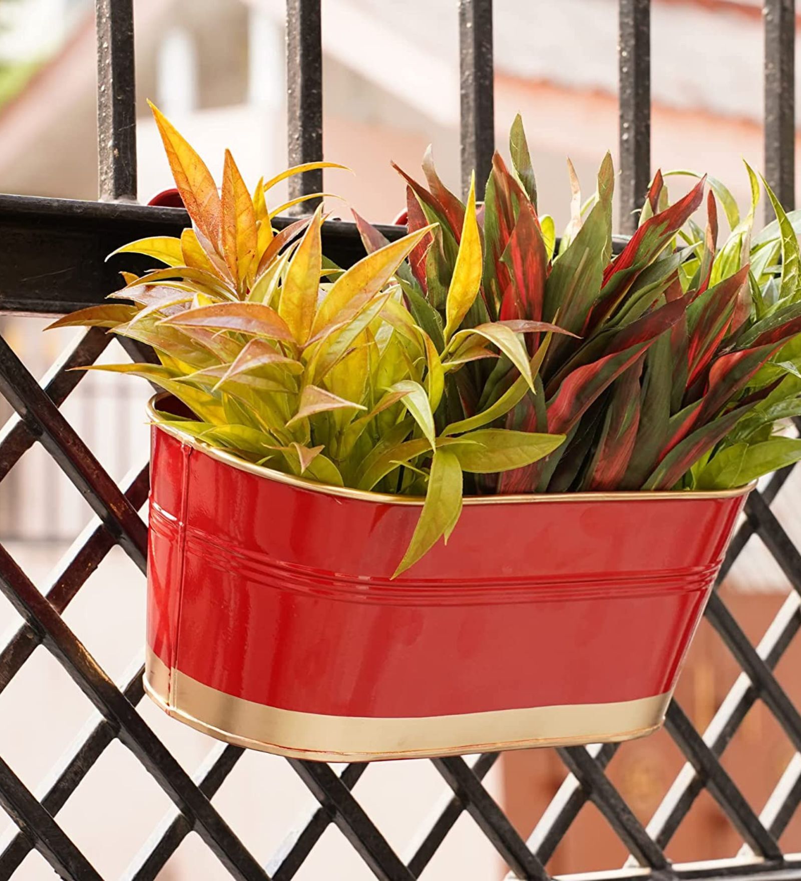 Buy Red Metal (Set of 4) Railing Planter at 32% OFF by Gold Dust ...