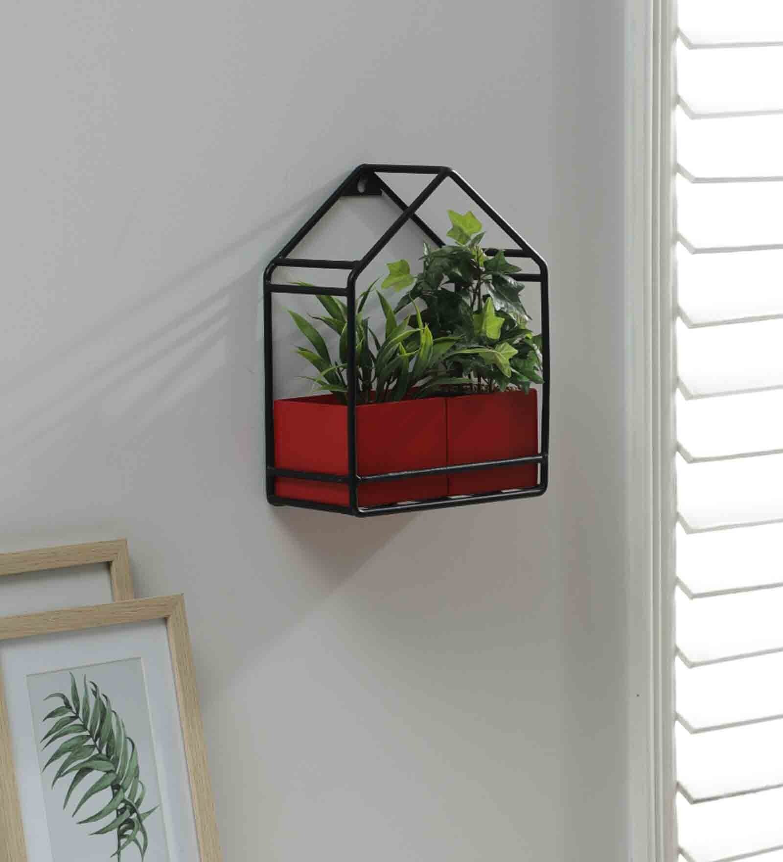 Buy Red Mild Steel Planter at 5% OFF by Restory | Pepperfry