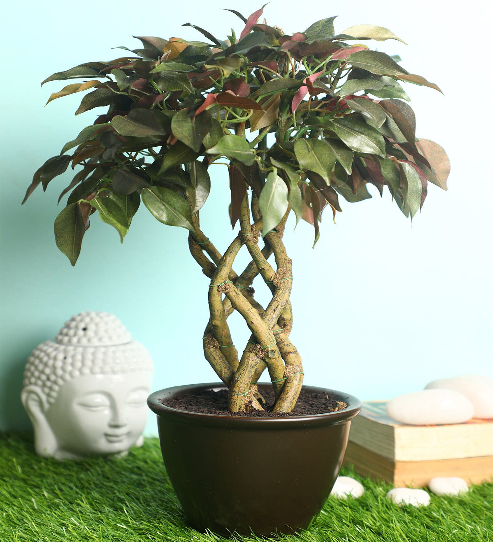 Buy Red Polyester Artificial Plant With pot at 30% OFF by Casacraft ...