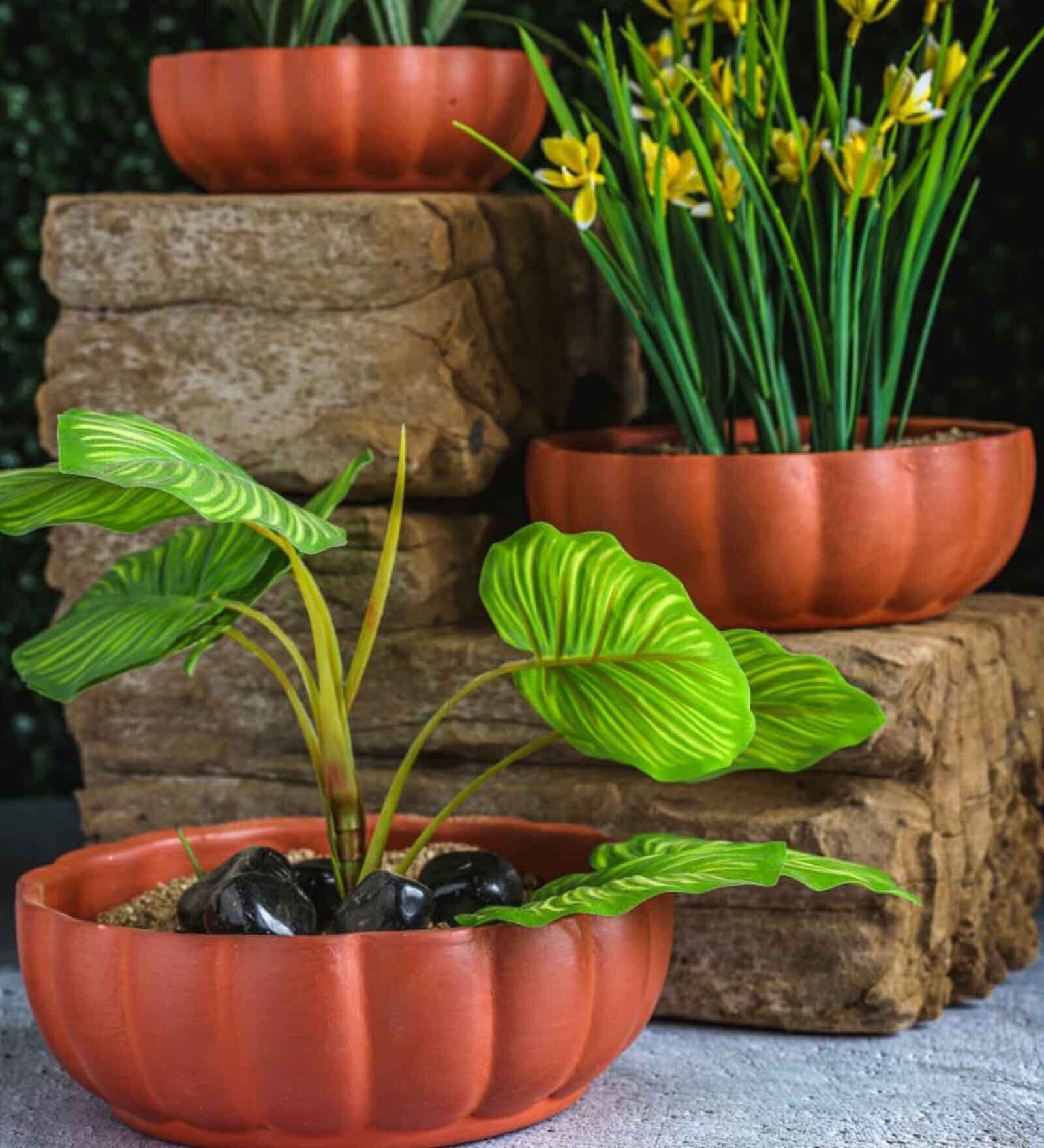 Buy Red Terracotta Water Melon Desk Pot Set at 42% OFF by THE ...