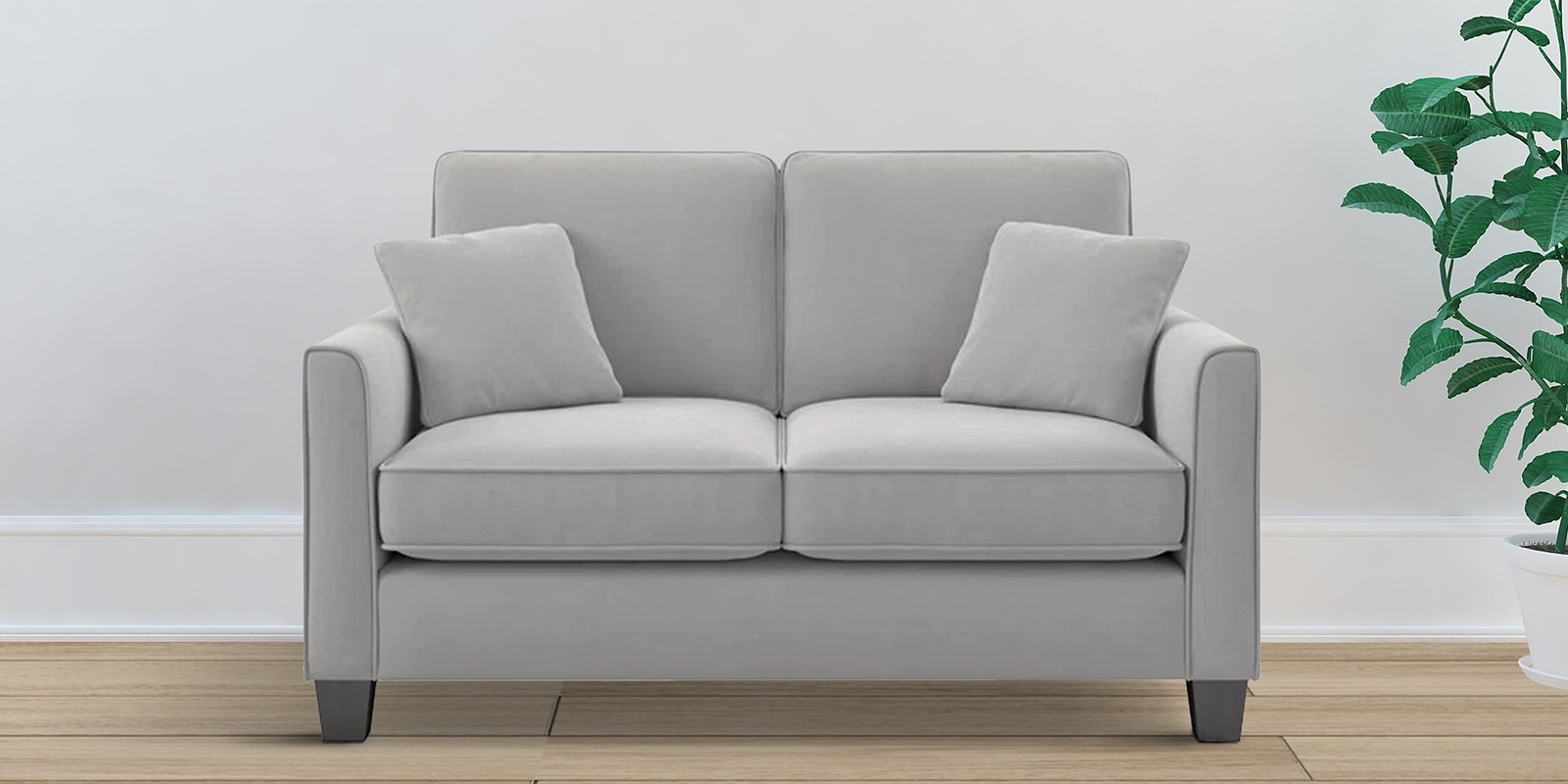 Buy Riley Velvet 2 Seater Sofa in Light Grey Colour at 19% OFF by Adorn Homez | Pepperfry