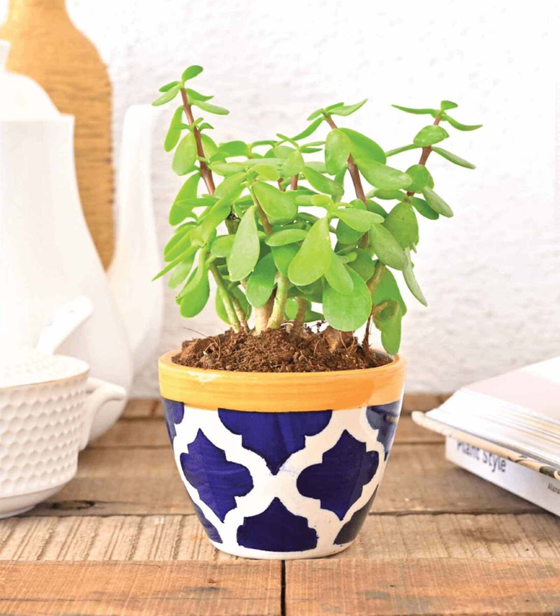 Buy Rose Blue Ceramic Apple Shape Desk Pot Planter at 33% OFF by Ugaoo ...