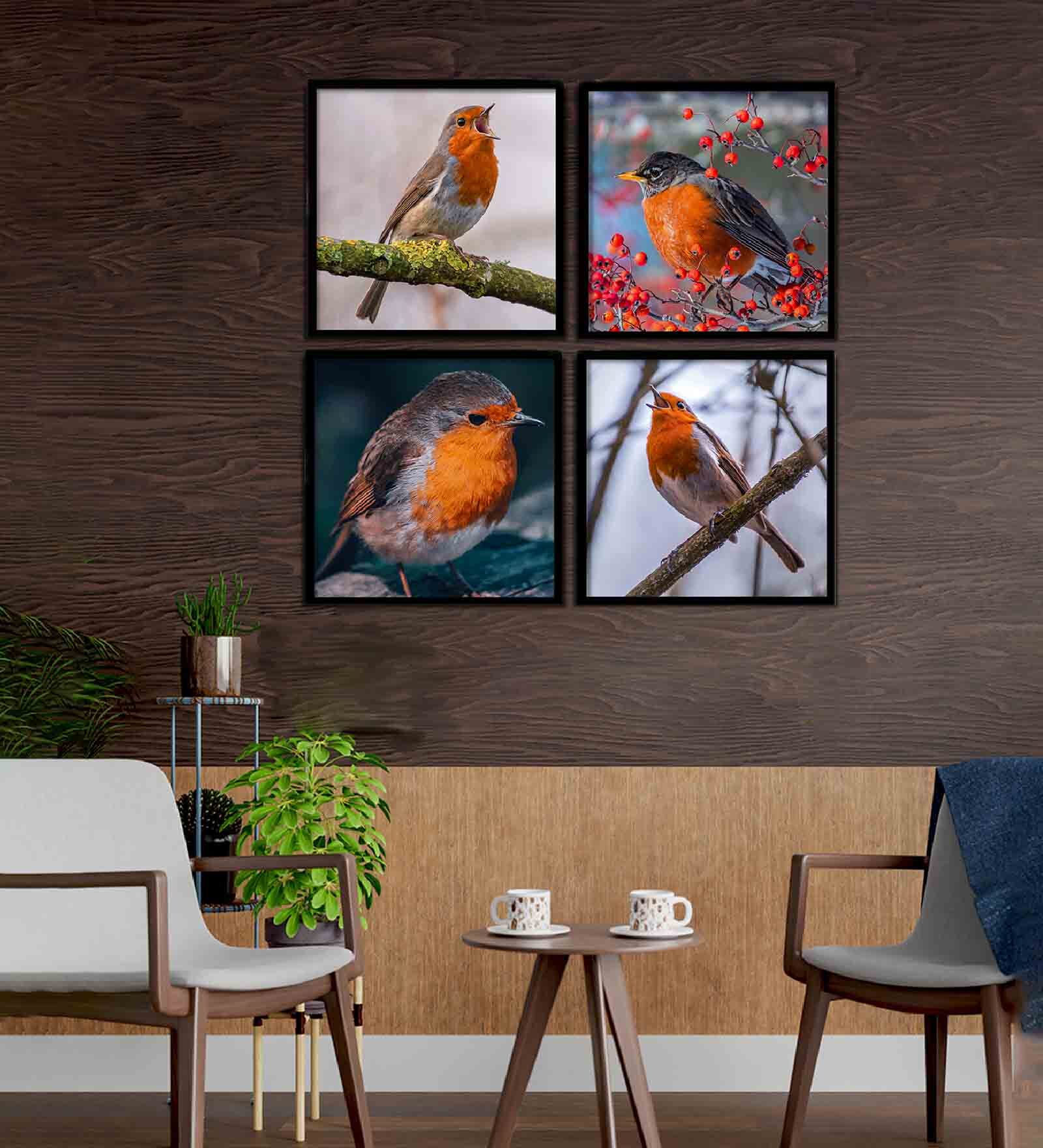 Buy Robin Orange Engineered Wood Framed Wildlife Art Print Set of 4 at ...